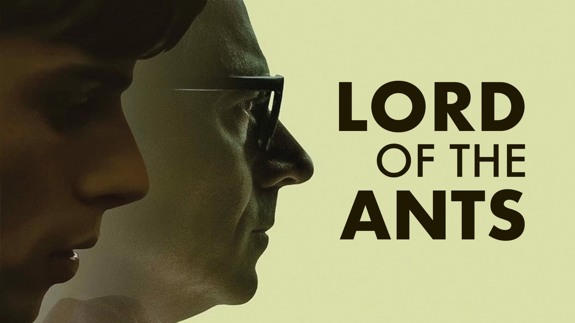 Stream Lord Of The Ants Online | Download and Watch HD Movies | Stan