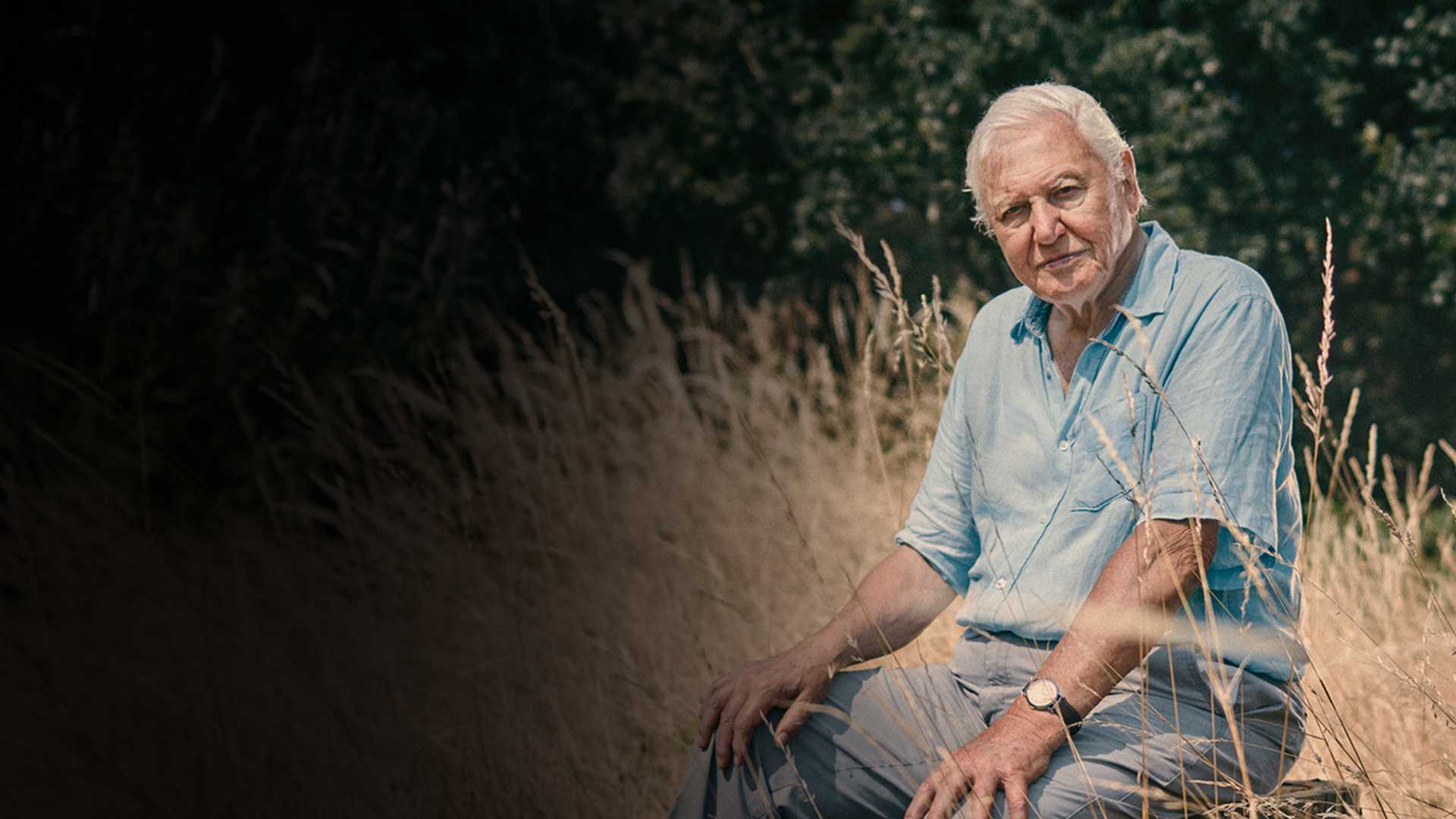 Stream Extinction: The Facts Online | Download and Watch HD Movies | Stan