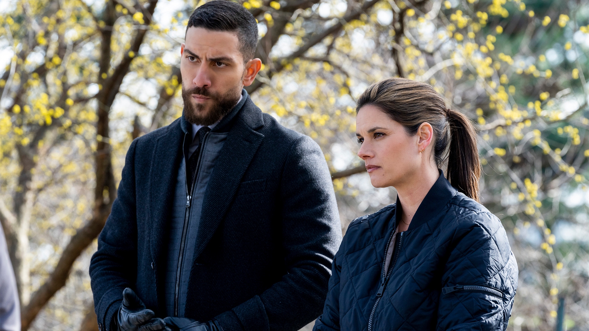 Watch FBI Online | Stream Season 5 Now | Stan