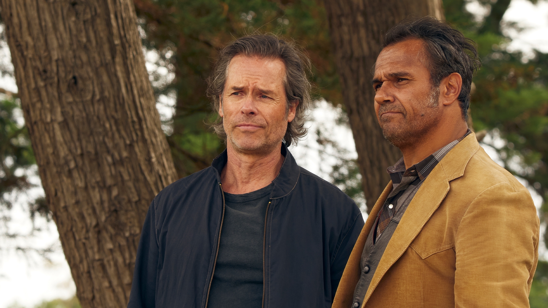 Jack Irish Season 3 Trailer at Susanne Drennan blog