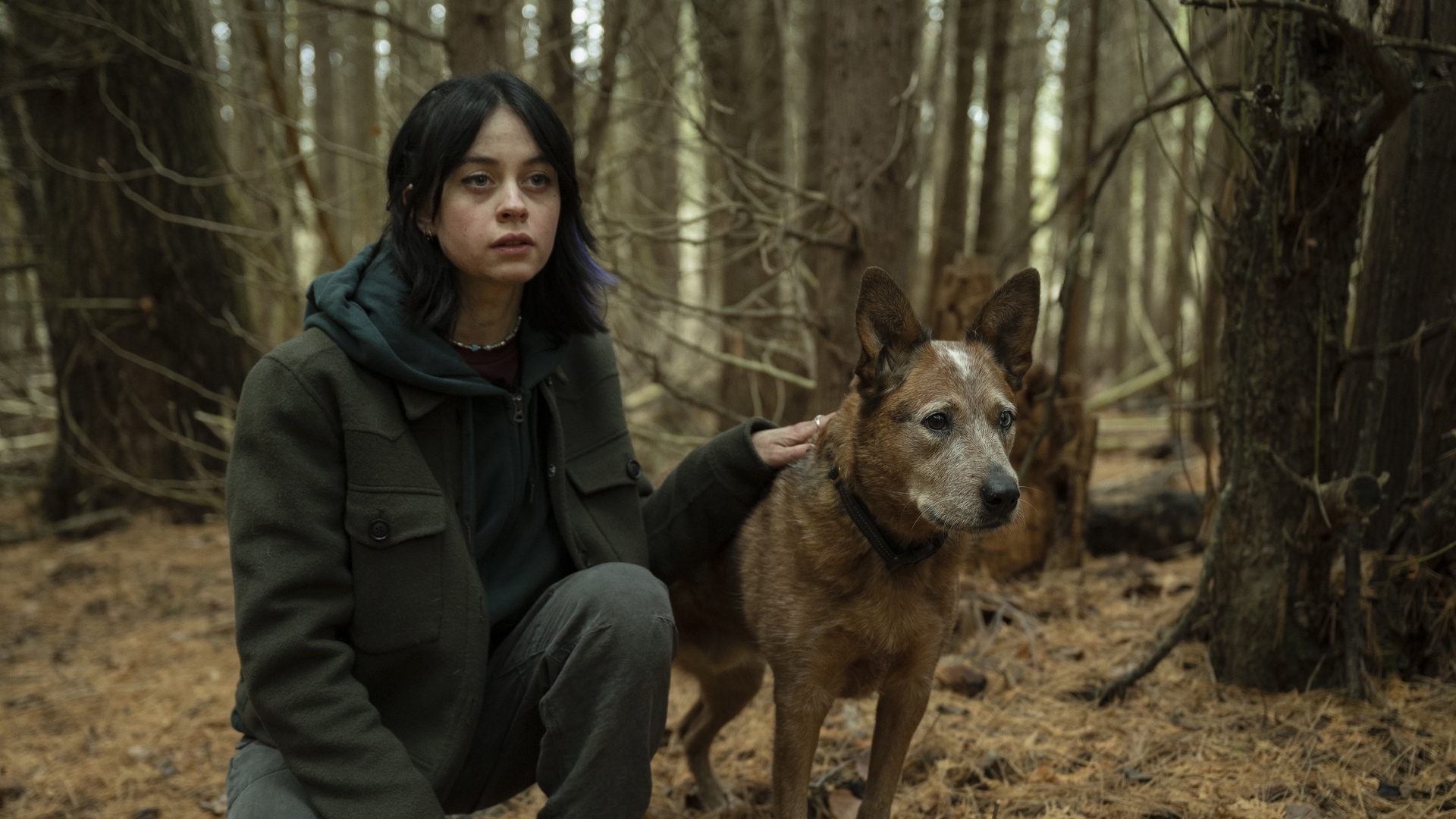 Orphan Black: Echoes | Now Streaming | Only on Stan.