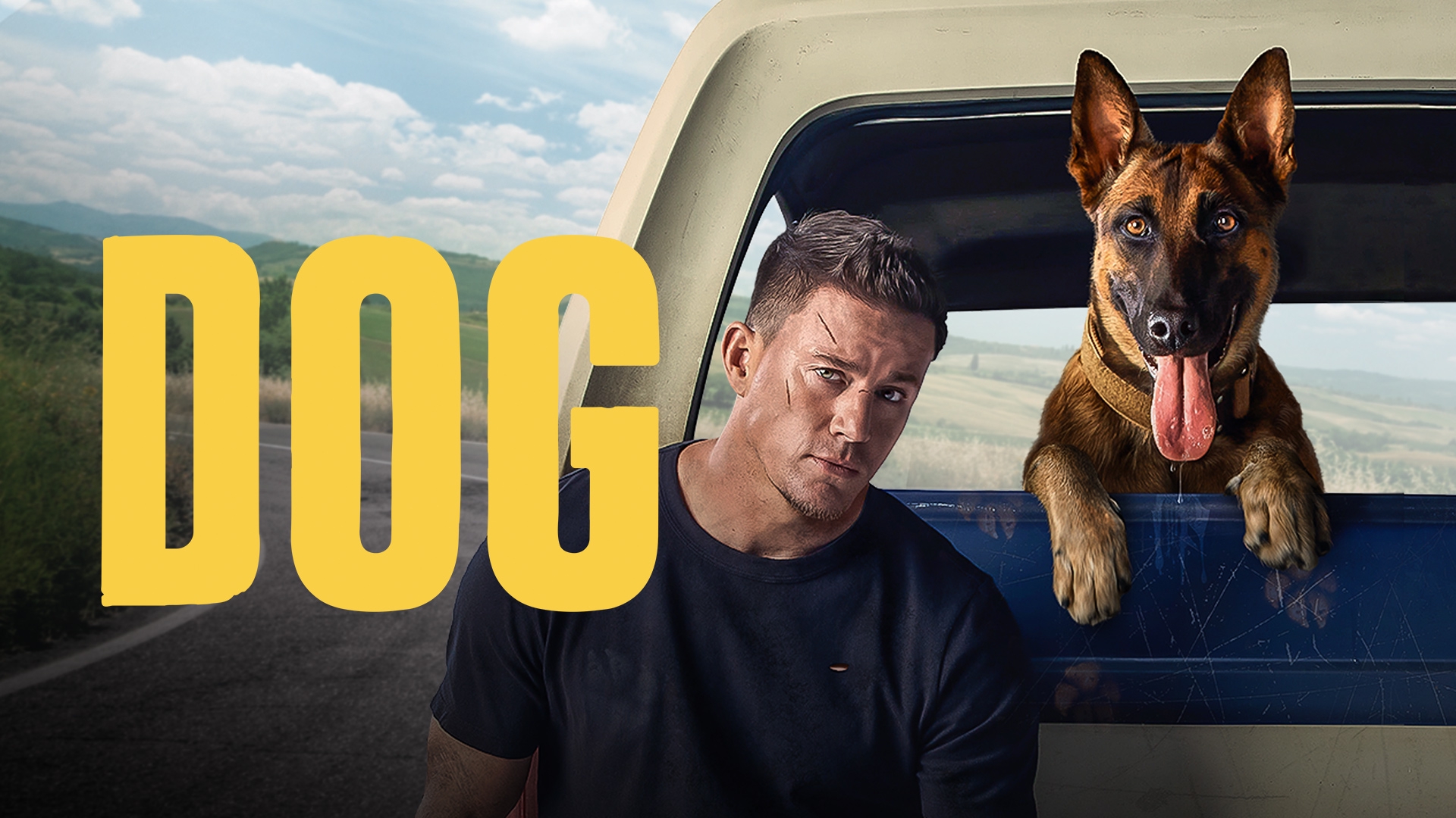 Stream Dog (2022) Online | Download and Watch HD Movies | Stan