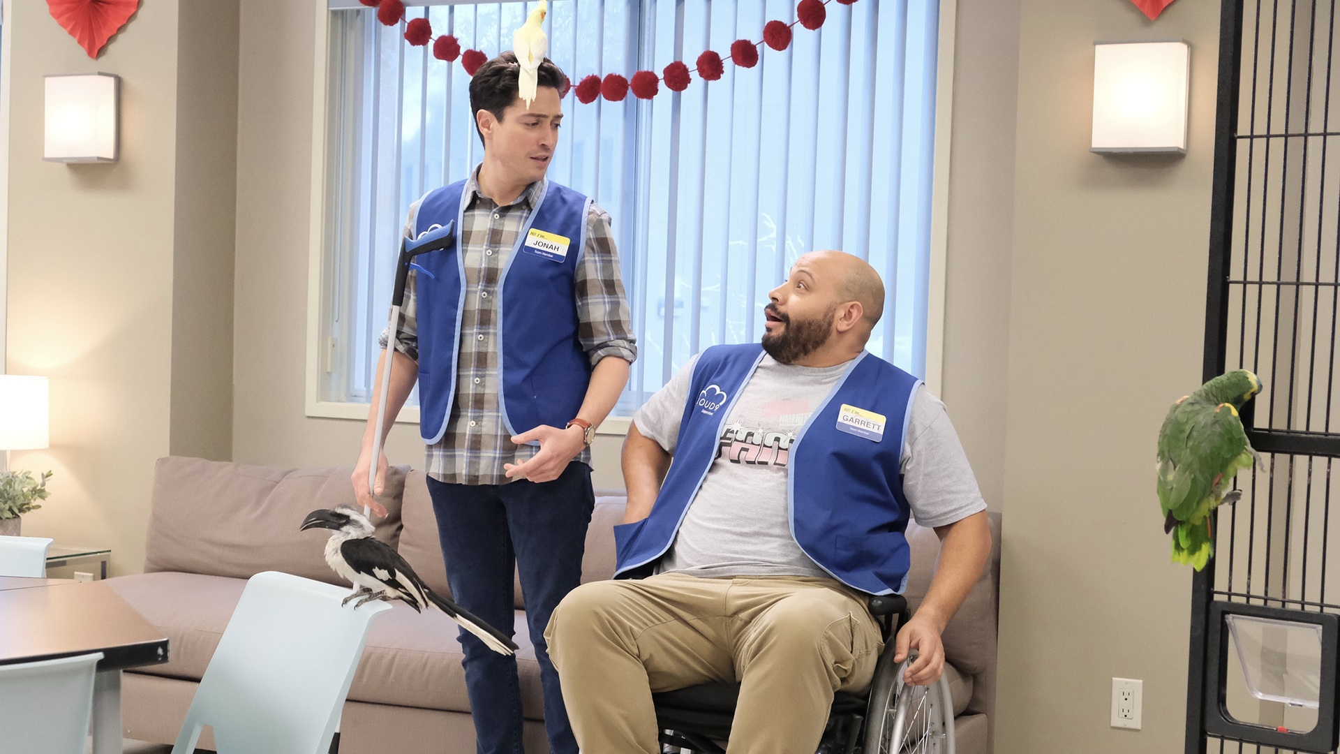 Watch Superstore Season 4 Online | Stream TV Shows | Stan
