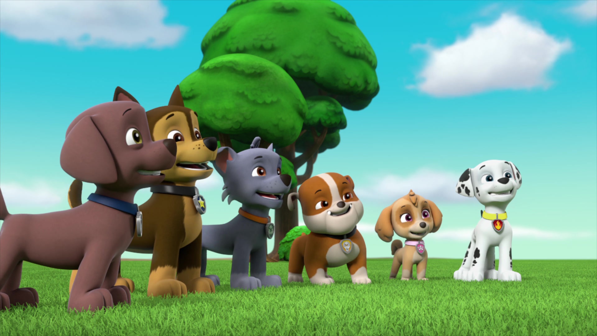 Watch Paw Patrol Season 7 Online | Stream TV Shows | Stan