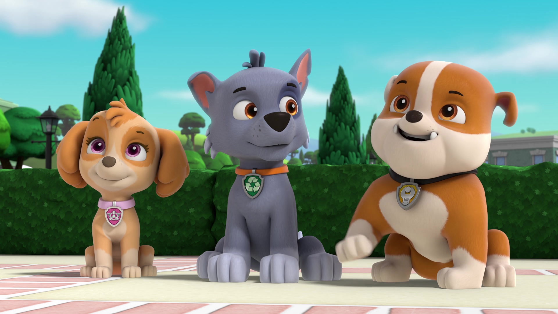 Watch Paw Patrol Season 8 Online Stream Tv Shows Stan