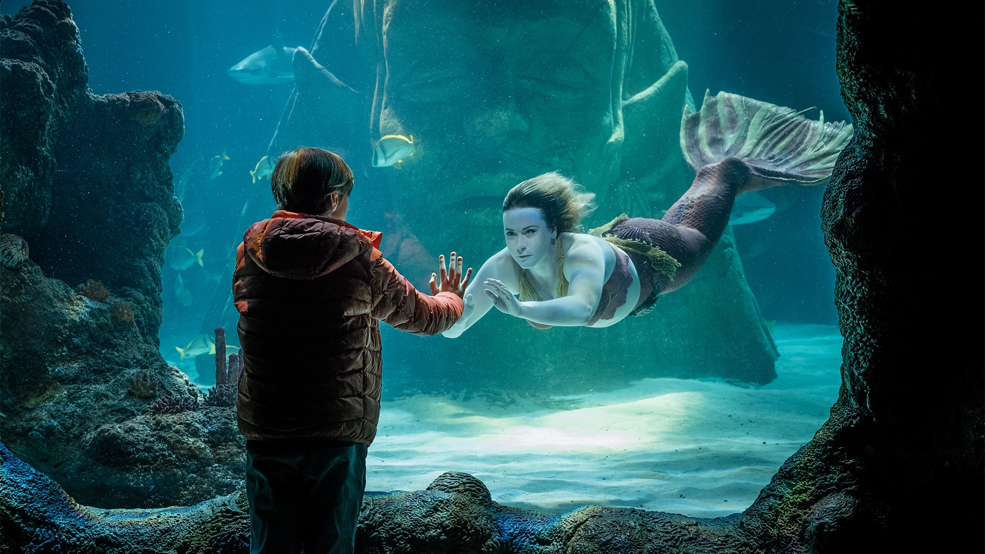Watch Butterfly Online | Stream Season 1 Now | Stan