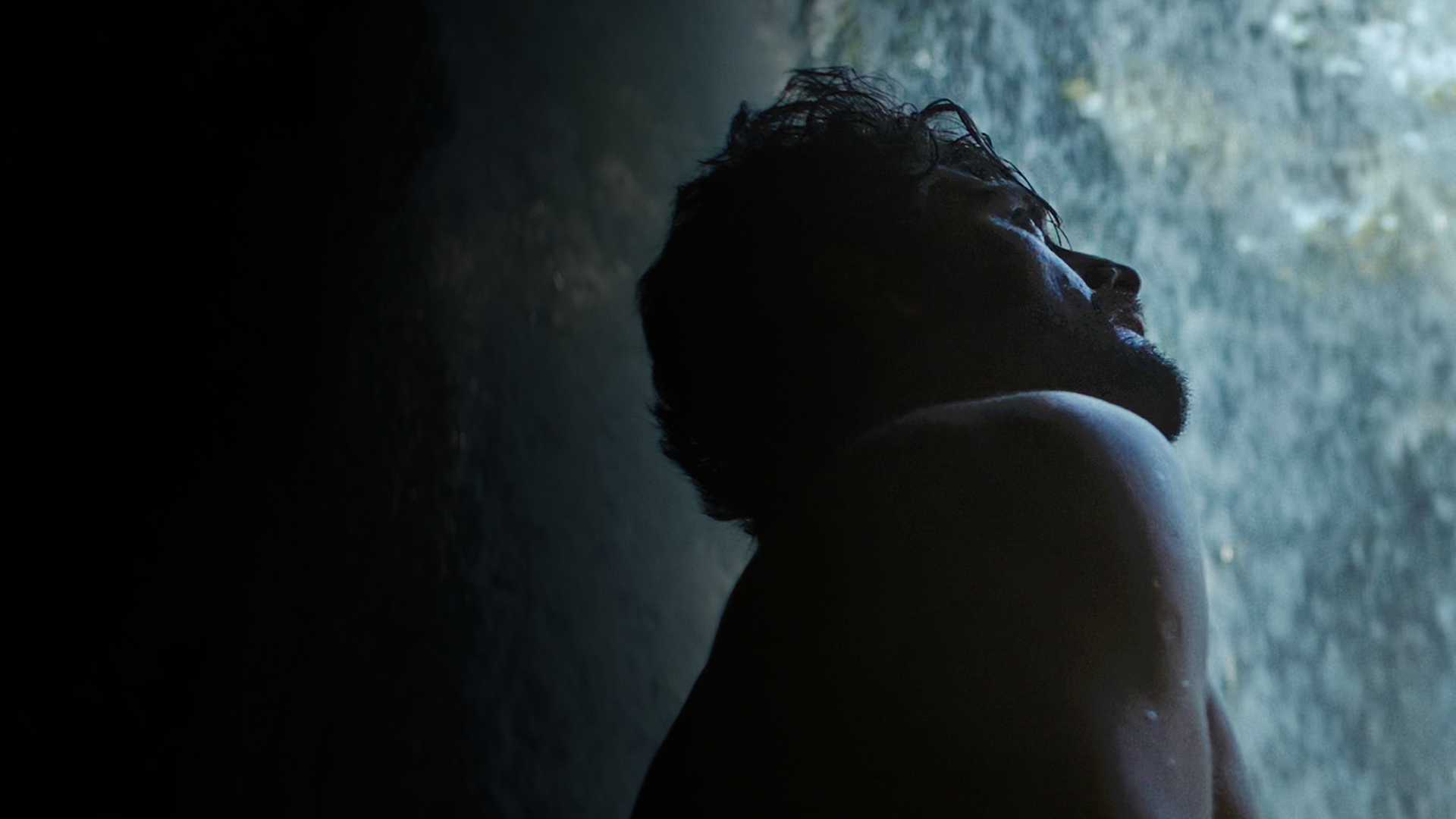 Stream Freedom is Beautiful Online | Download and Watch HD Movies | Stan