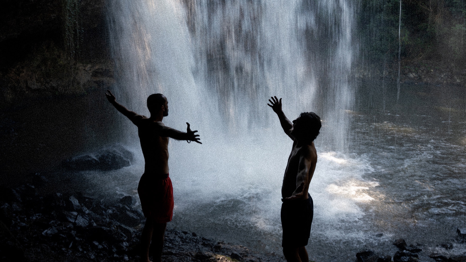 Stream Freedom is Beautiful Online | Download and Watch HD Movies | Stan