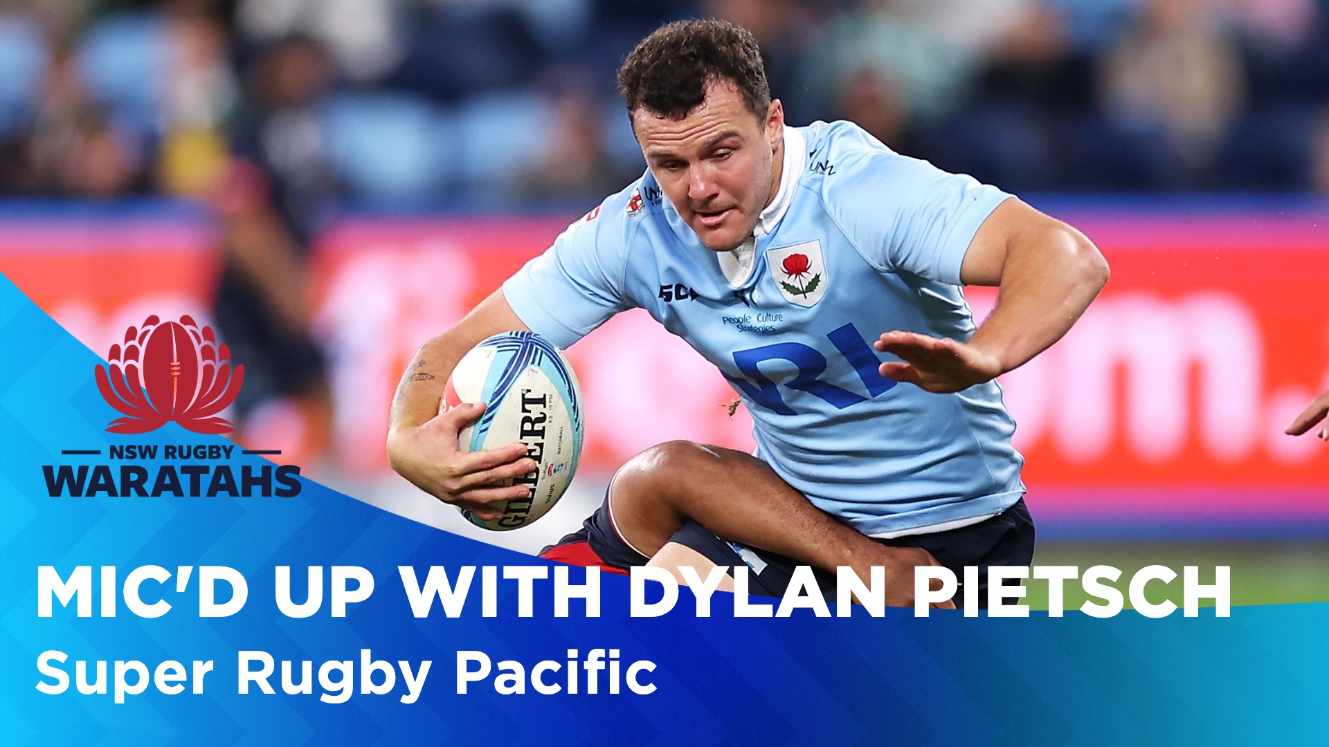 Watch Under-20 Six Nations on Stan Sport