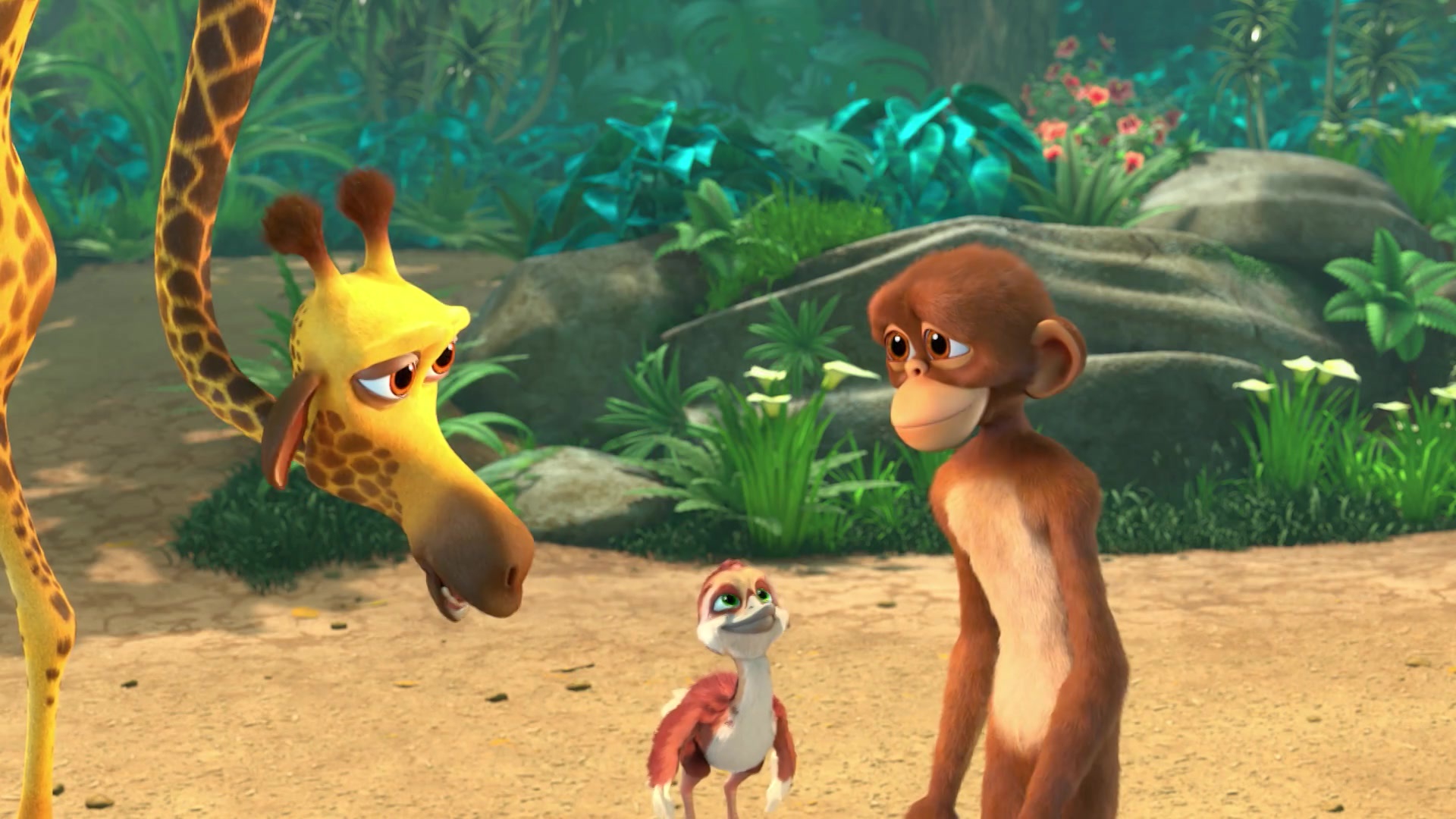 Watch Jungle Beat Season 7 Online | Stream TV Shows | Stan