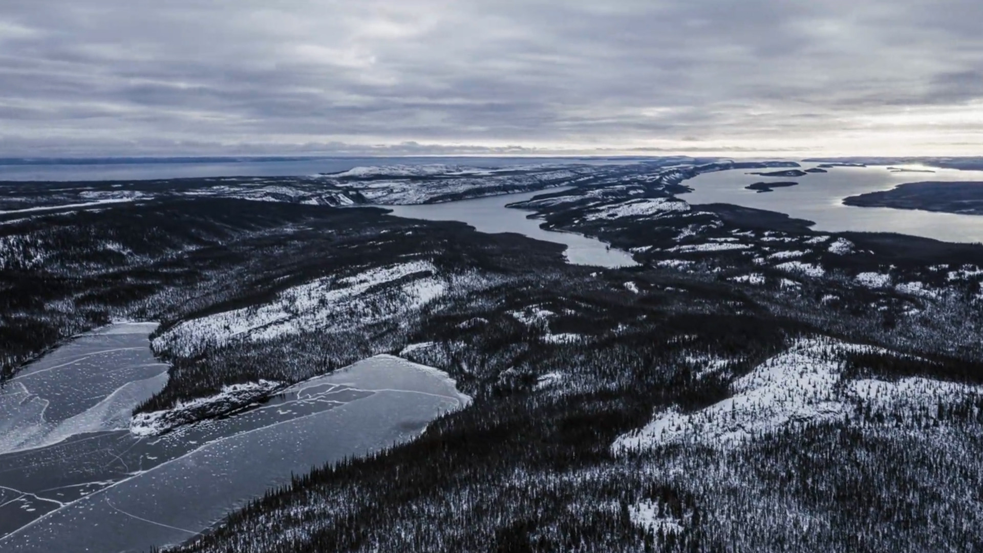 Watch Alone Season 7 Online | Stream TV Shows | Stan