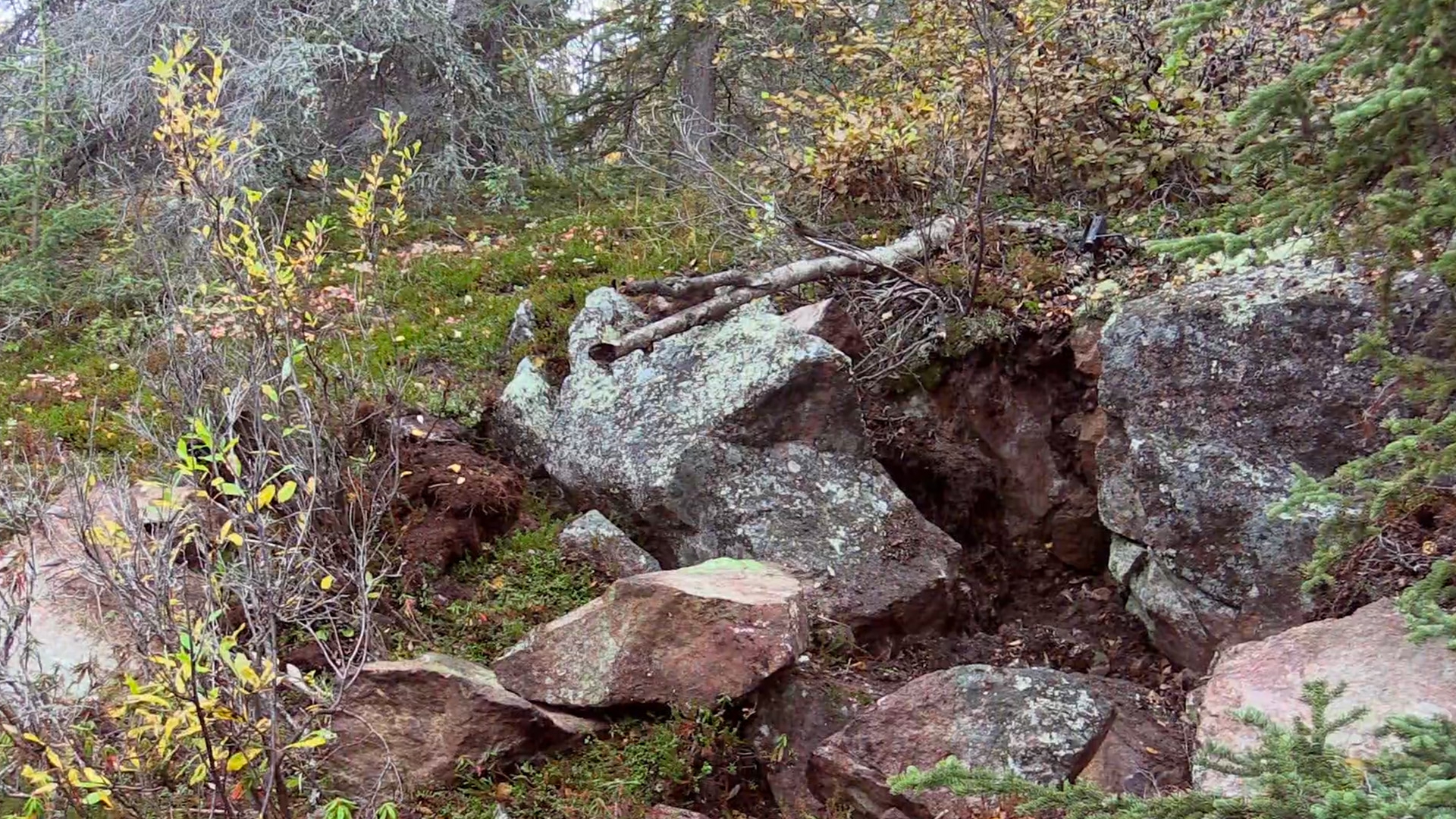 Watch Alone Season 7 Online | Stream TV Shows | Stan