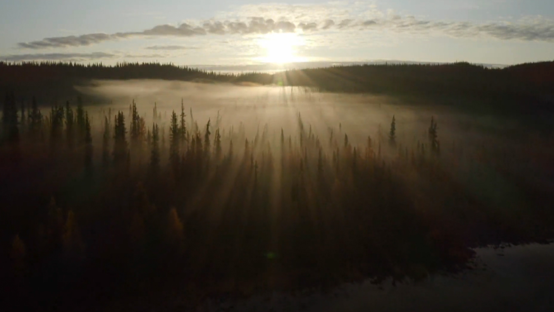 Watch Alone Season 7 Online | Stream TV Shows | Stan