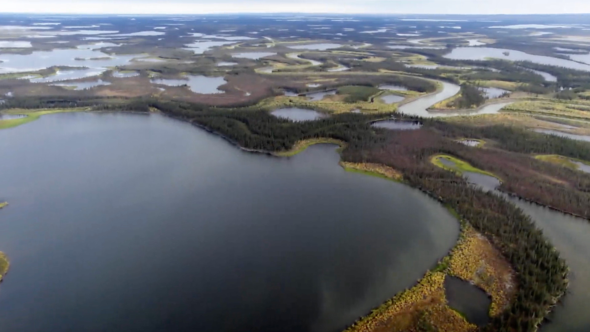 Alone | Season 11 Now Streaming | On Stan.