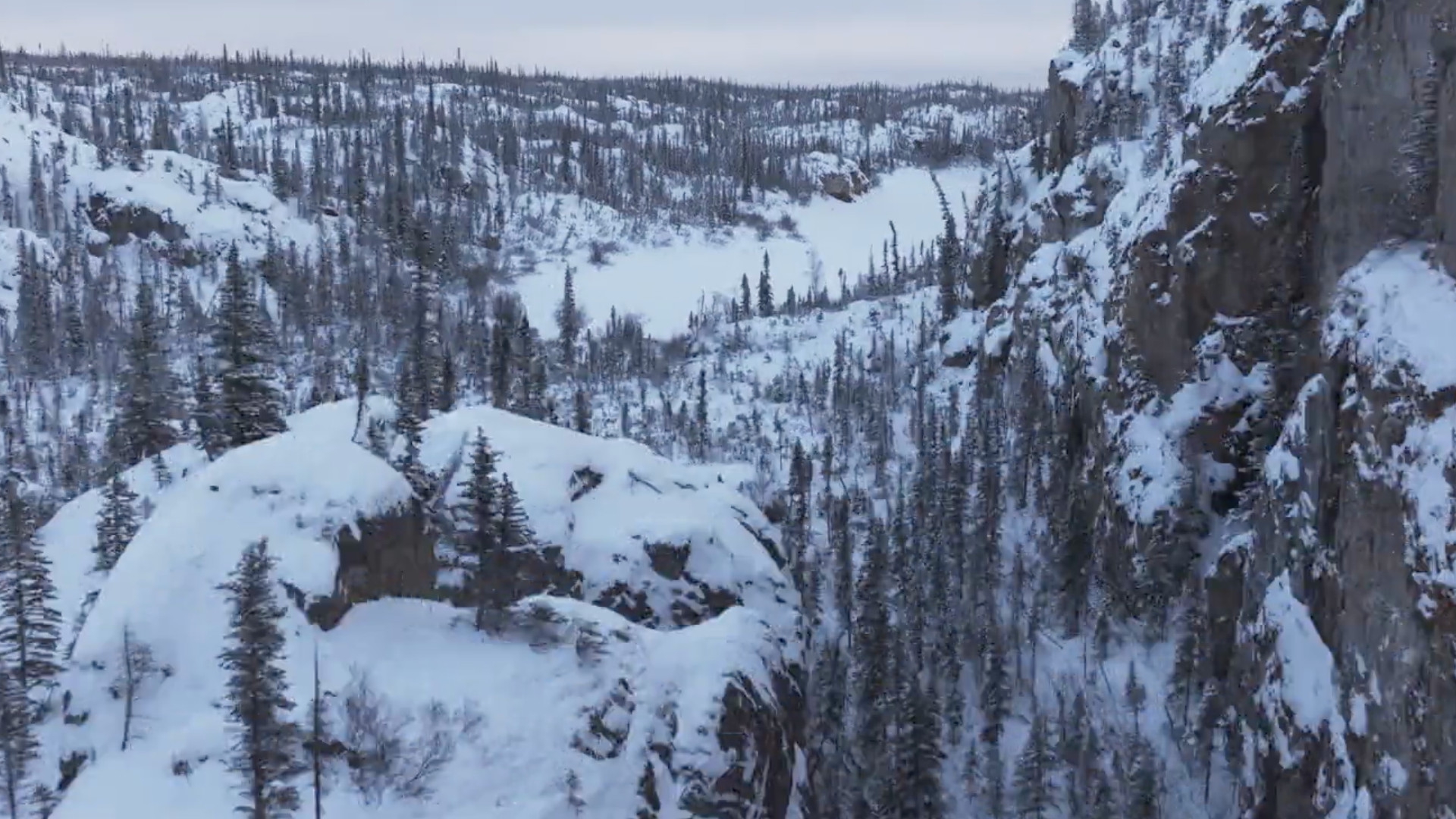 Alone | Season 11 Now Streaming | On Stan.