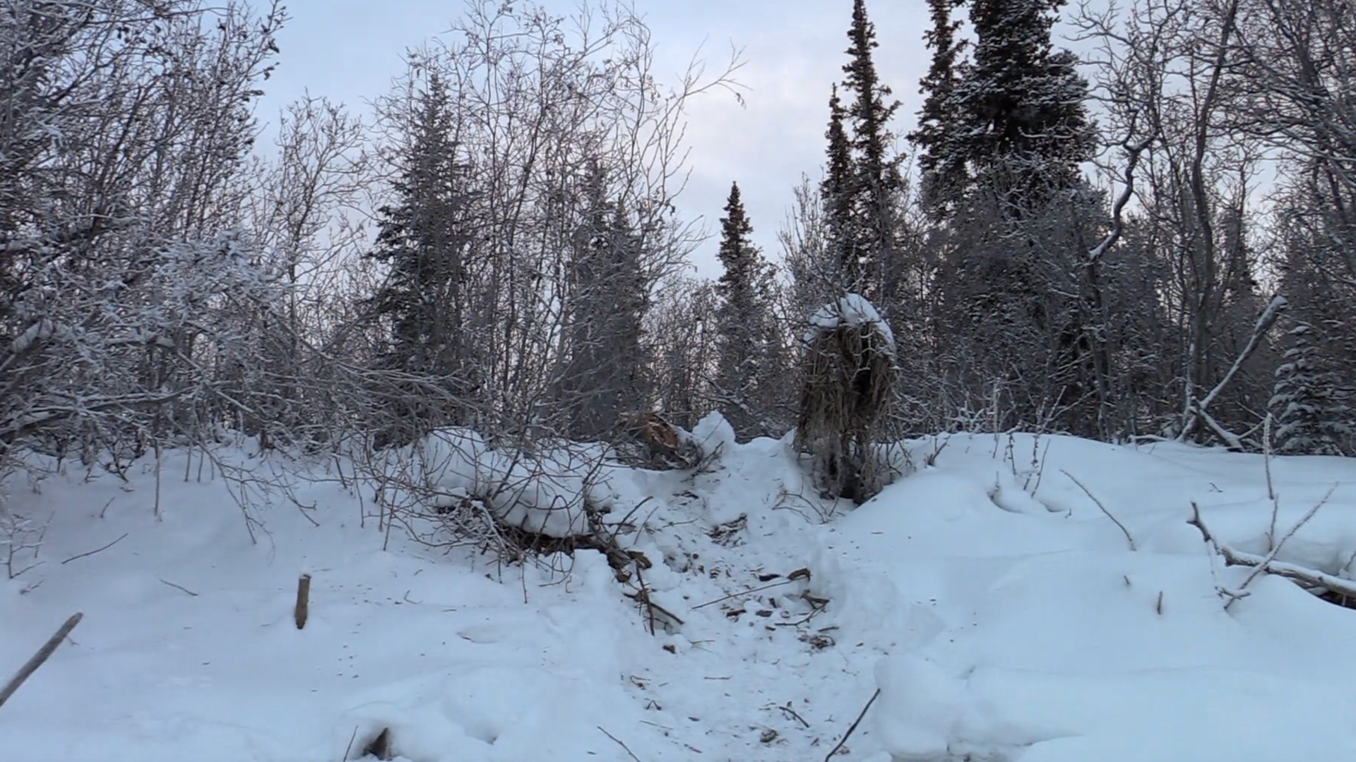 Alone | Season 11 Now Streaming | On Stan.