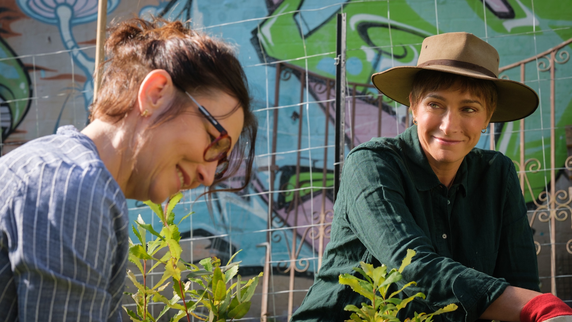 Watch Bump TV Show | Every Episode | Stan Originals