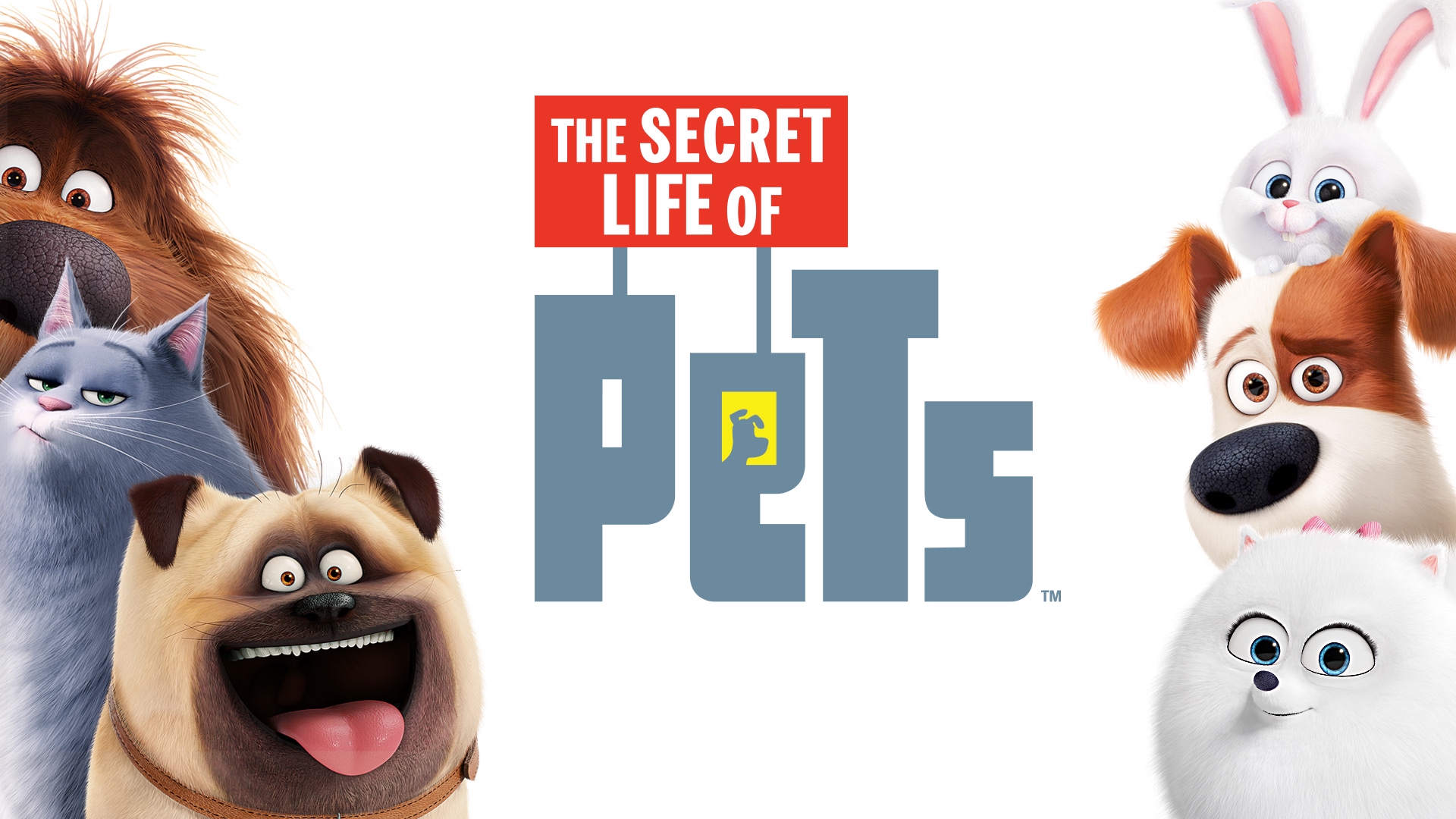 Stream The Secret Life Of Pets Online | Download and Watch HD Movies | Stan