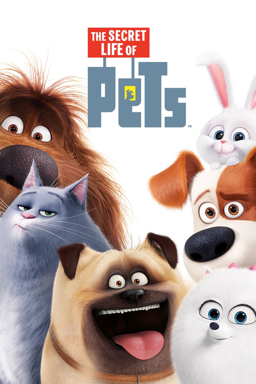 Watch Animation TV Shows & Movies Online | Stan