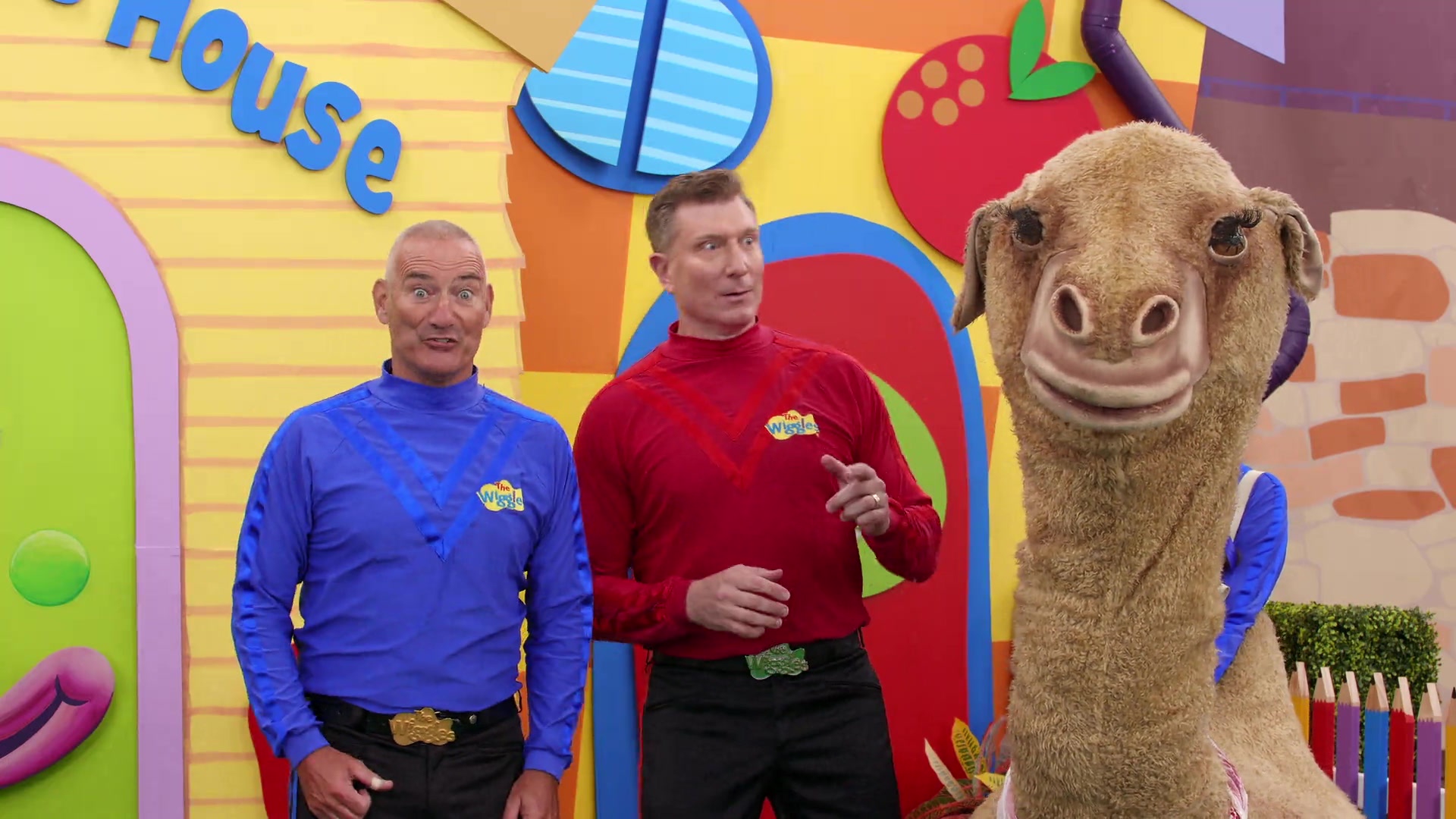 Watch Ready, Steady, Wiggle! Season 5 Online | Stream TV Shows | Stan