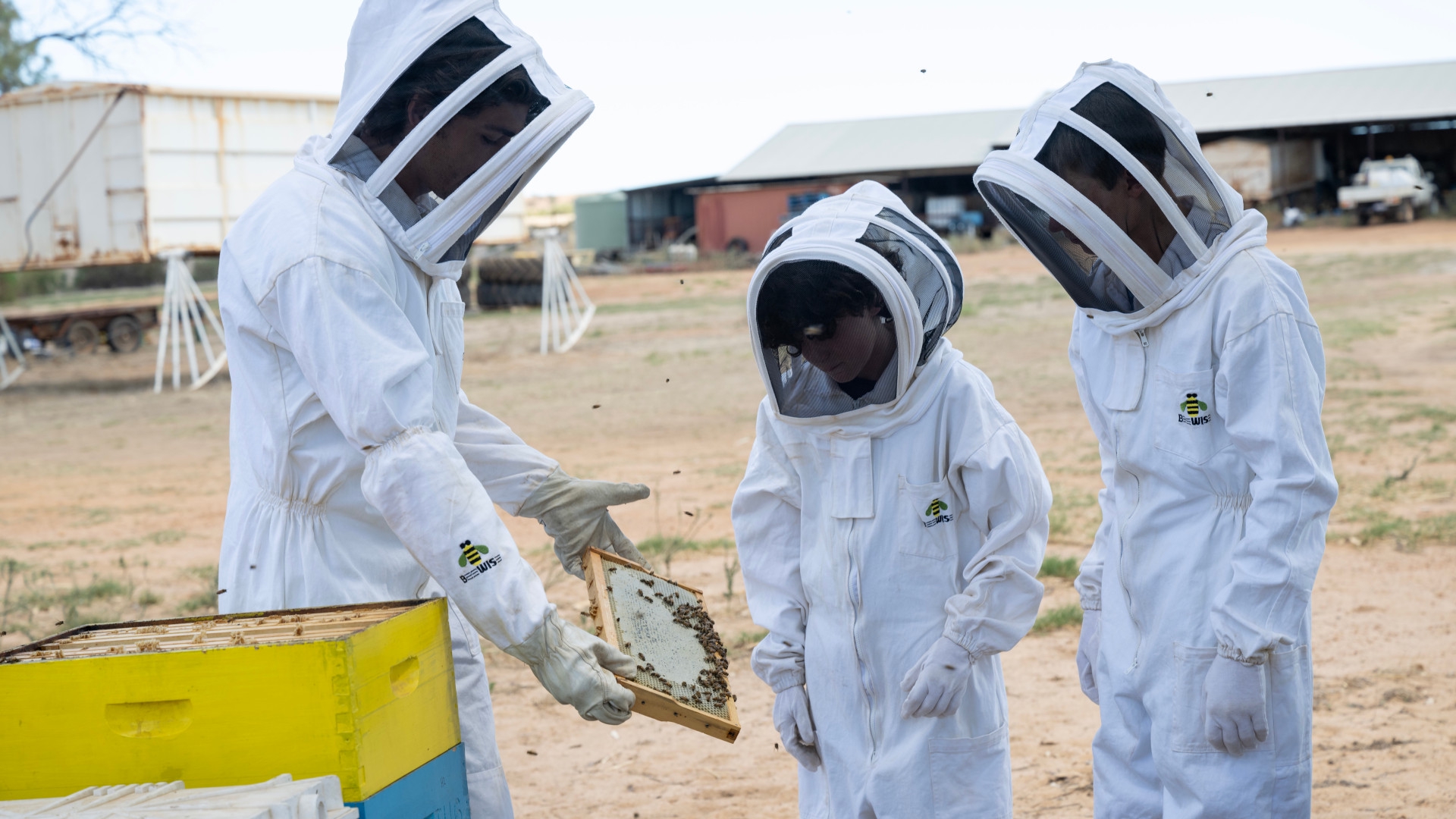 Watch Invisible Boys Online | A Stan Original Series