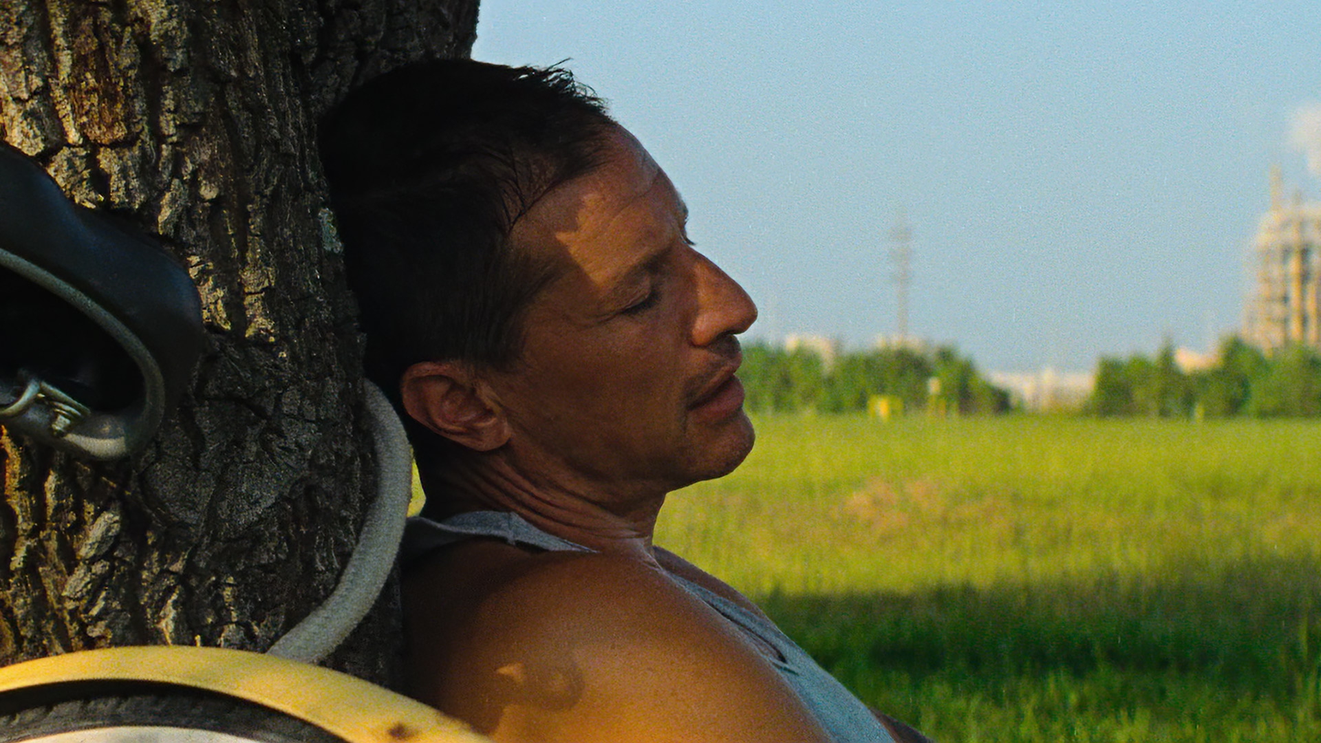 Stream Red Rocket Online | Download and Watch HD Movies | Stan