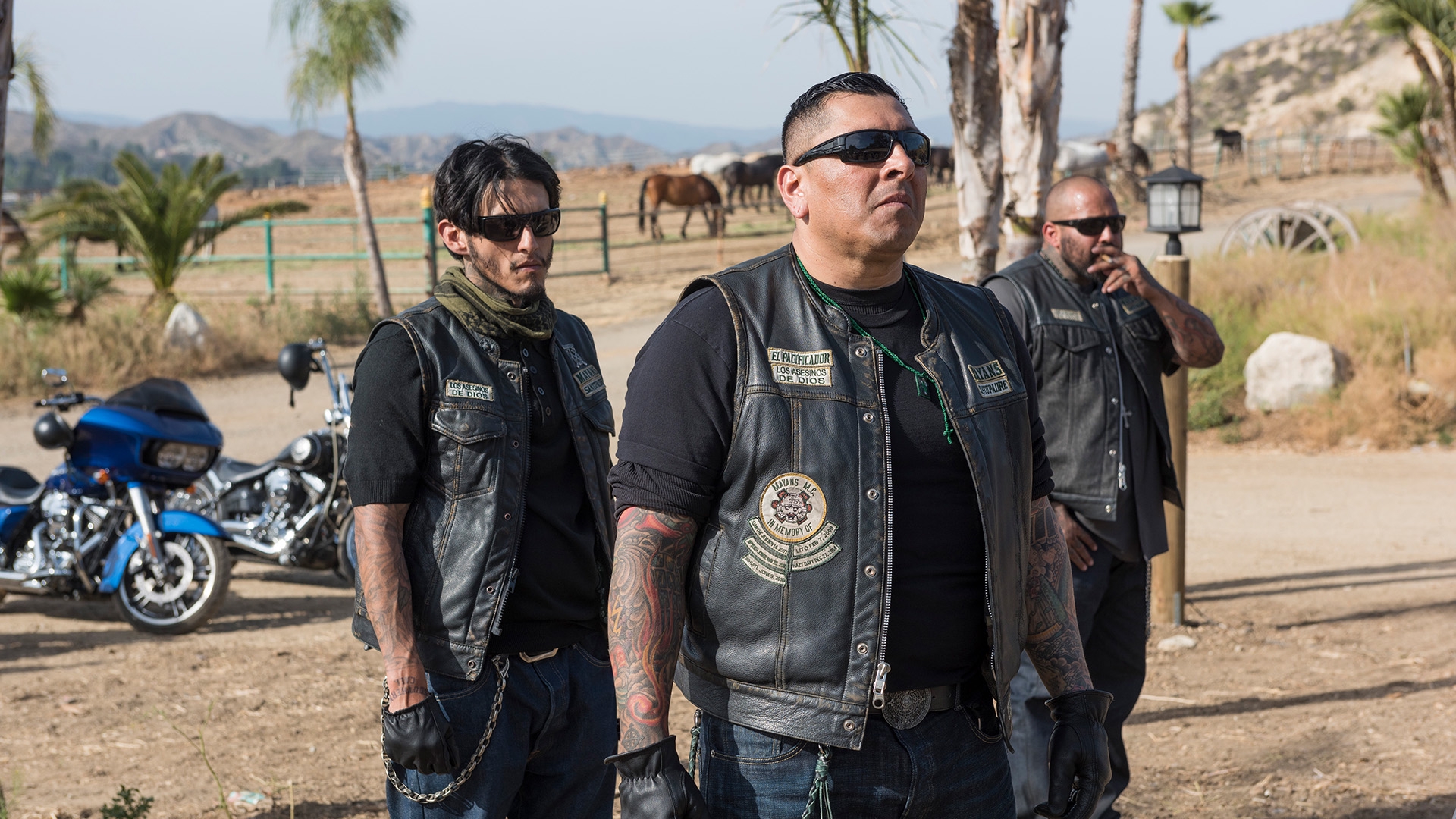 Watch Mayans M.C. Online | Stream Seasons 1-5 Now | Stan