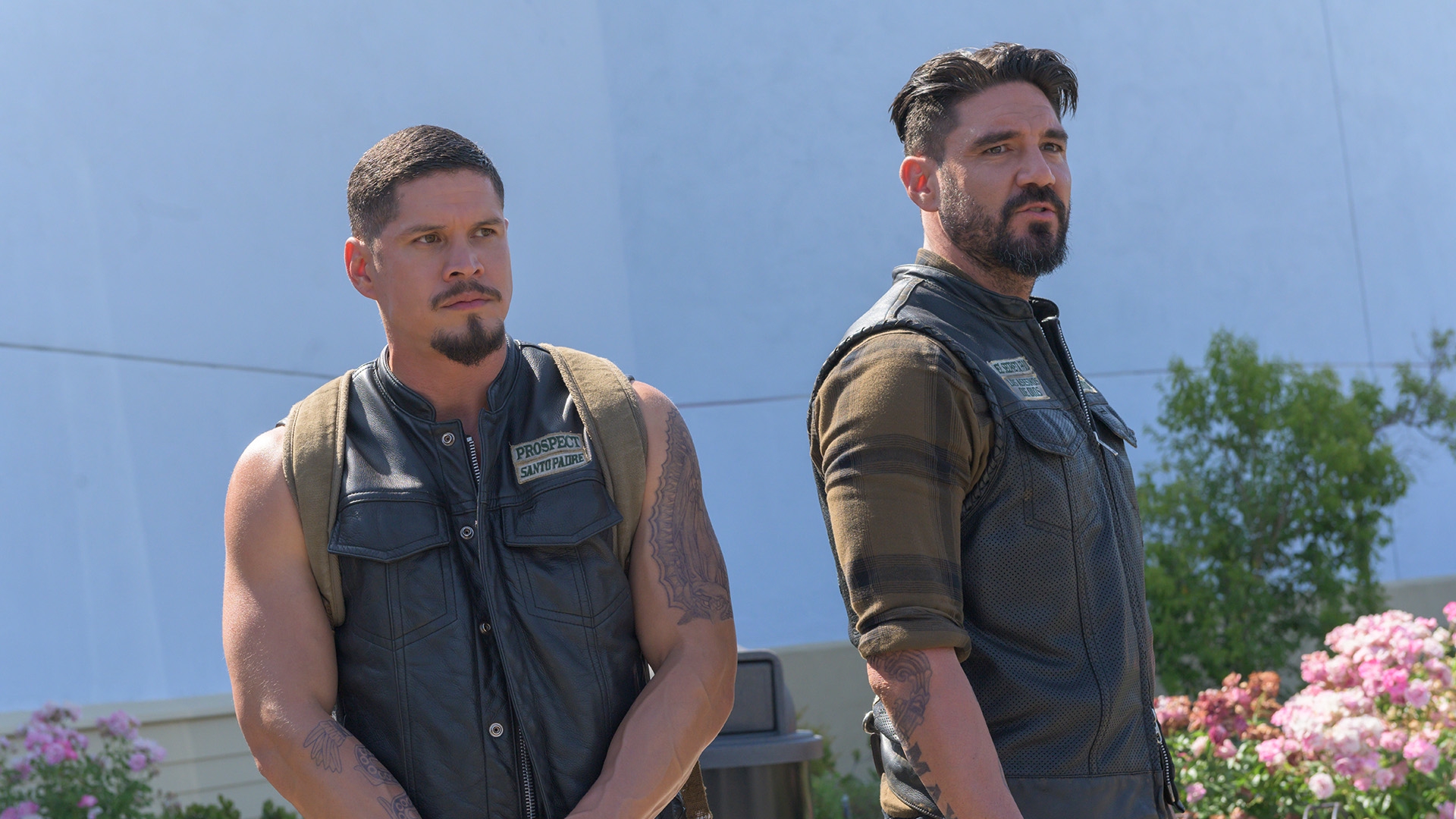 Watch Mayans M.C. Season 2 Online | Stream TV Shows | Stan