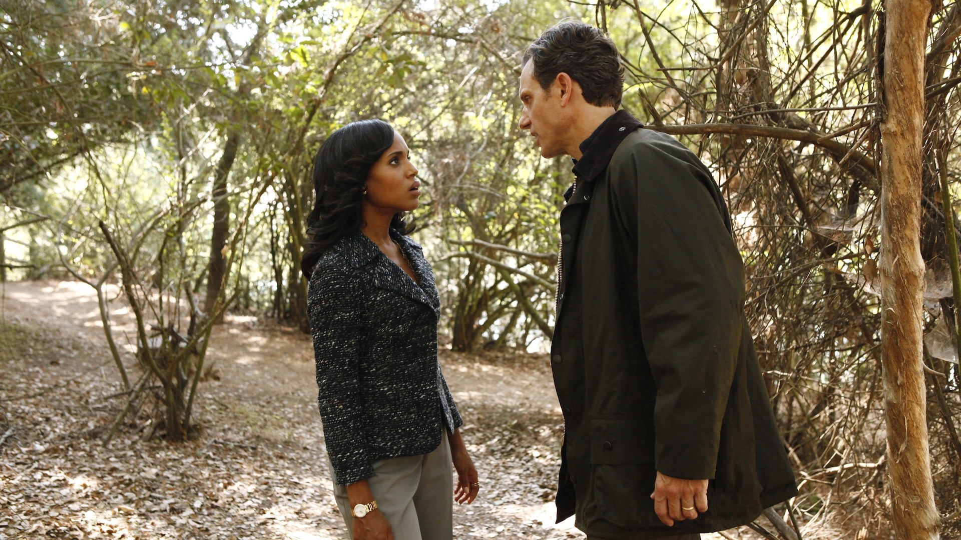 Watch Scandal Season 2 Online | Stream TV Shows | Stan