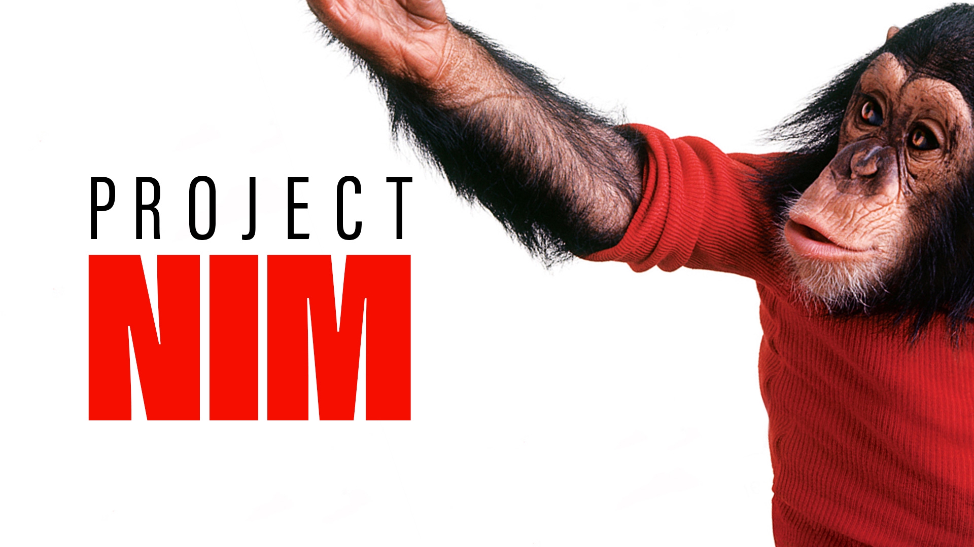Stream Project Nim Online | Download and Watch HD Movies | Stan