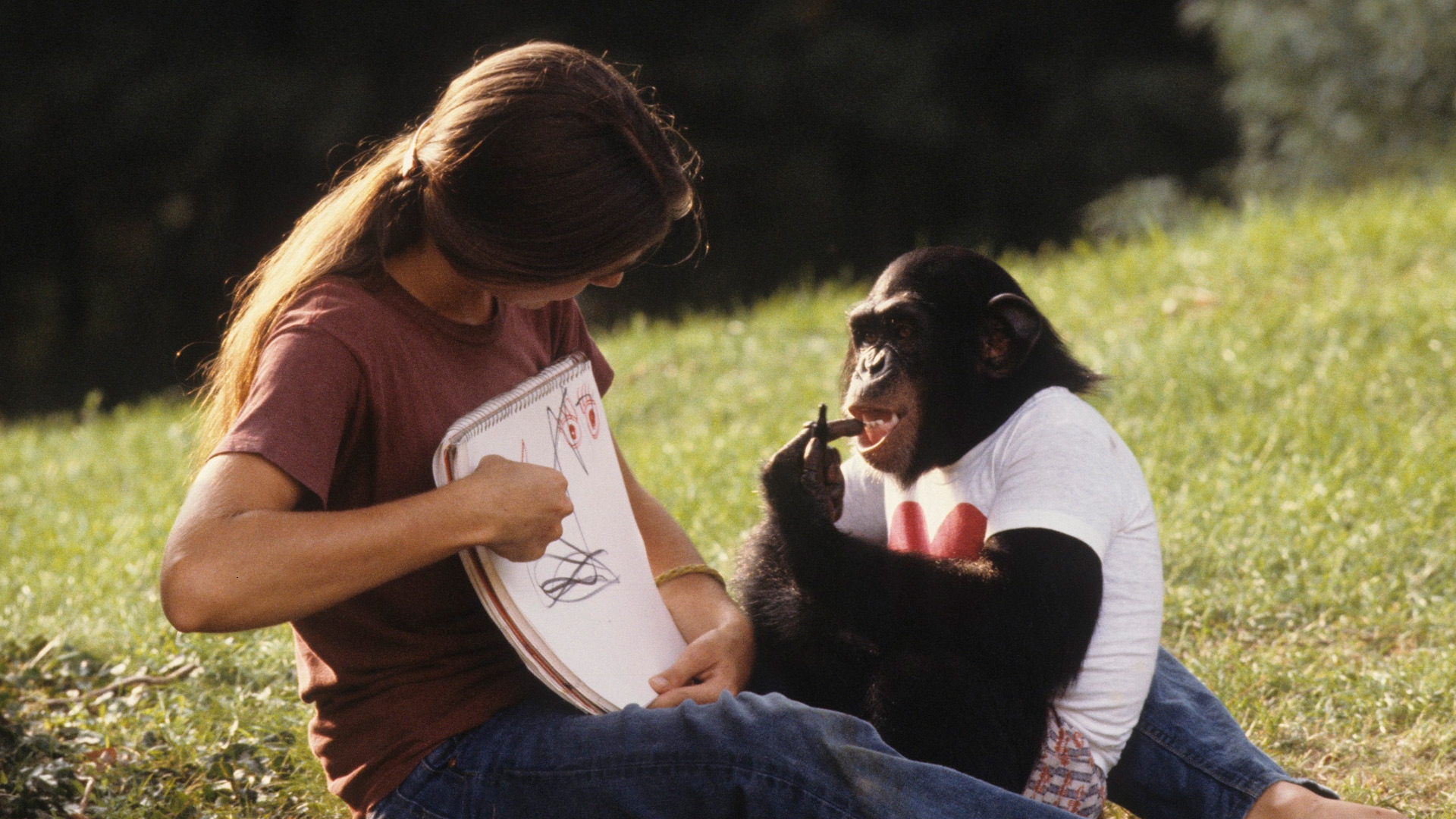 Stream Project Nim Online | Download and Watch HD Movies | Stan