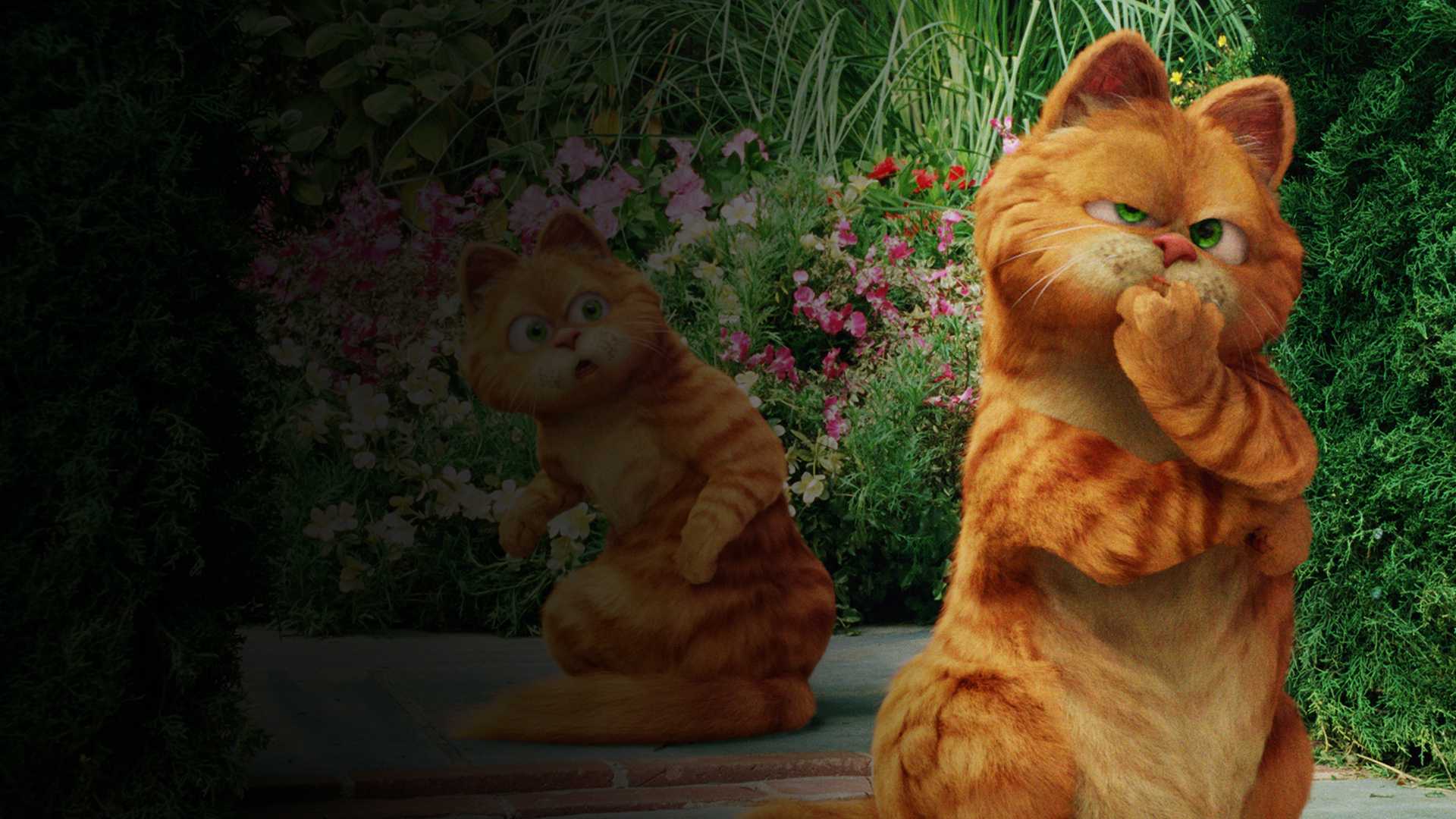Stream Garfield: A Tail Of Two Kitties Online | Download and Watch HD ...