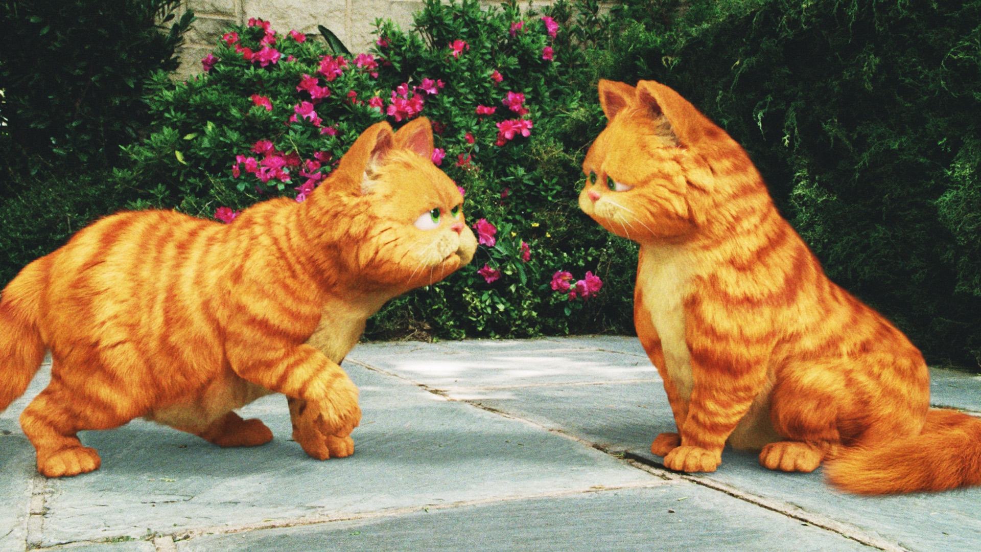 Stream Garfield: A Tail Of Two Kitties Online | Download and Watch HD ...