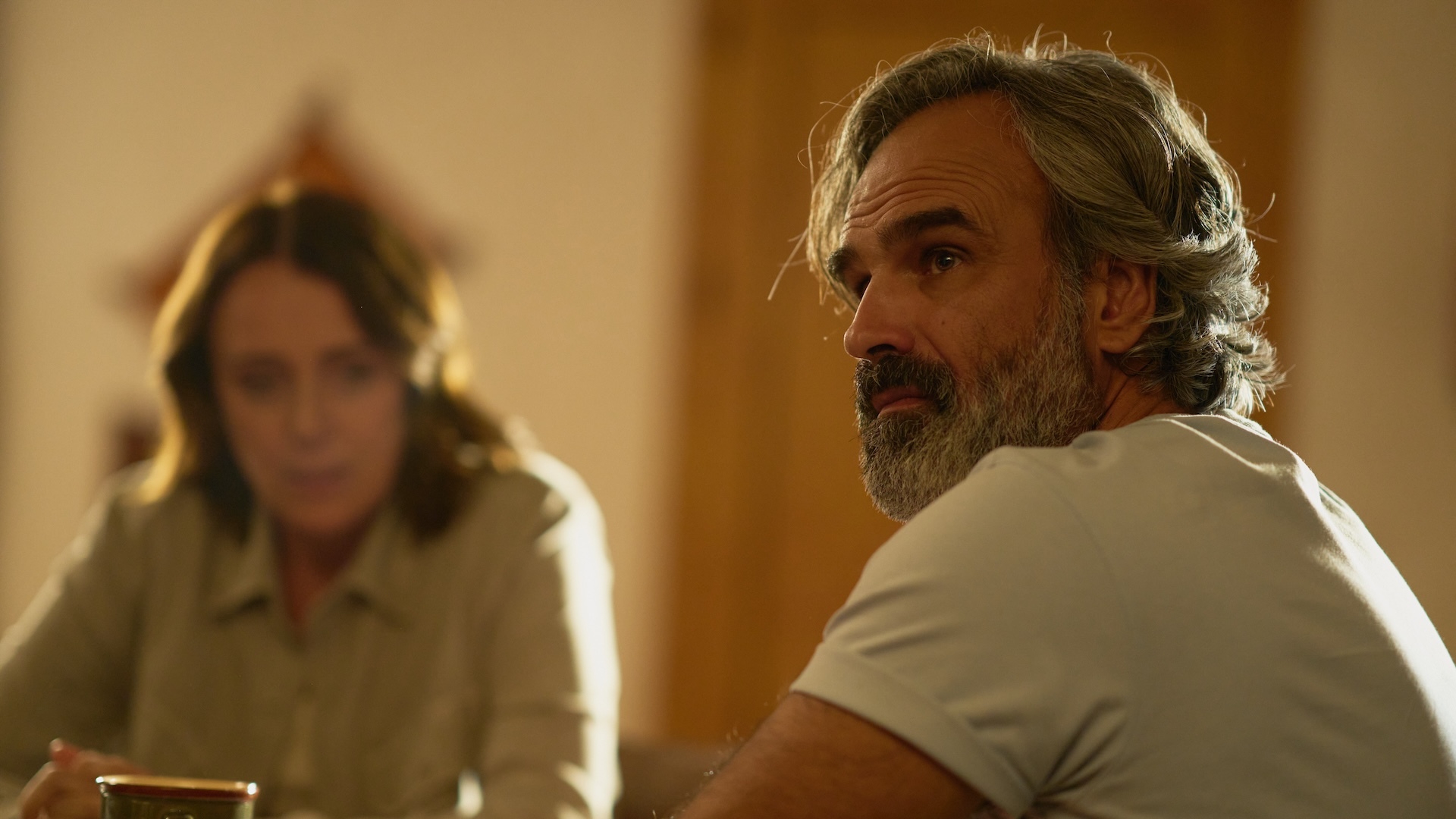 Watch The Assassin | Stream Now | Stan Originals