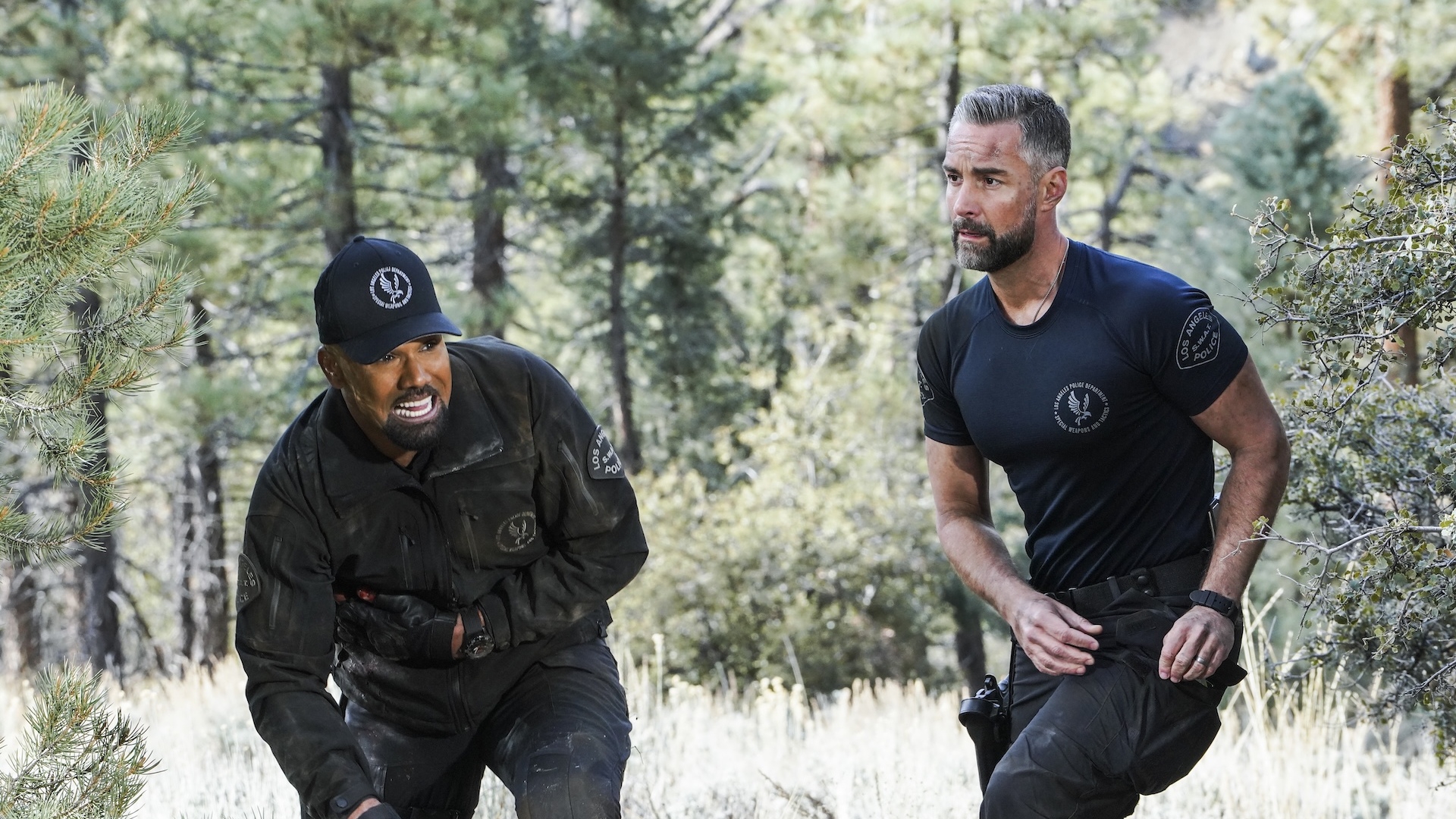 Watch S.W.A.T Online | Stream Seasons 1-6 Now | Stan