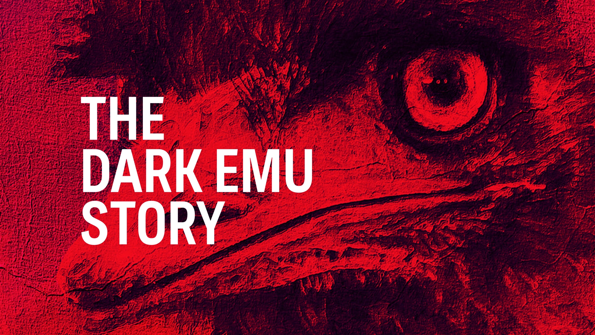 Stream The Dark Emu Story Online | Download and Watch HD Movies | Stan