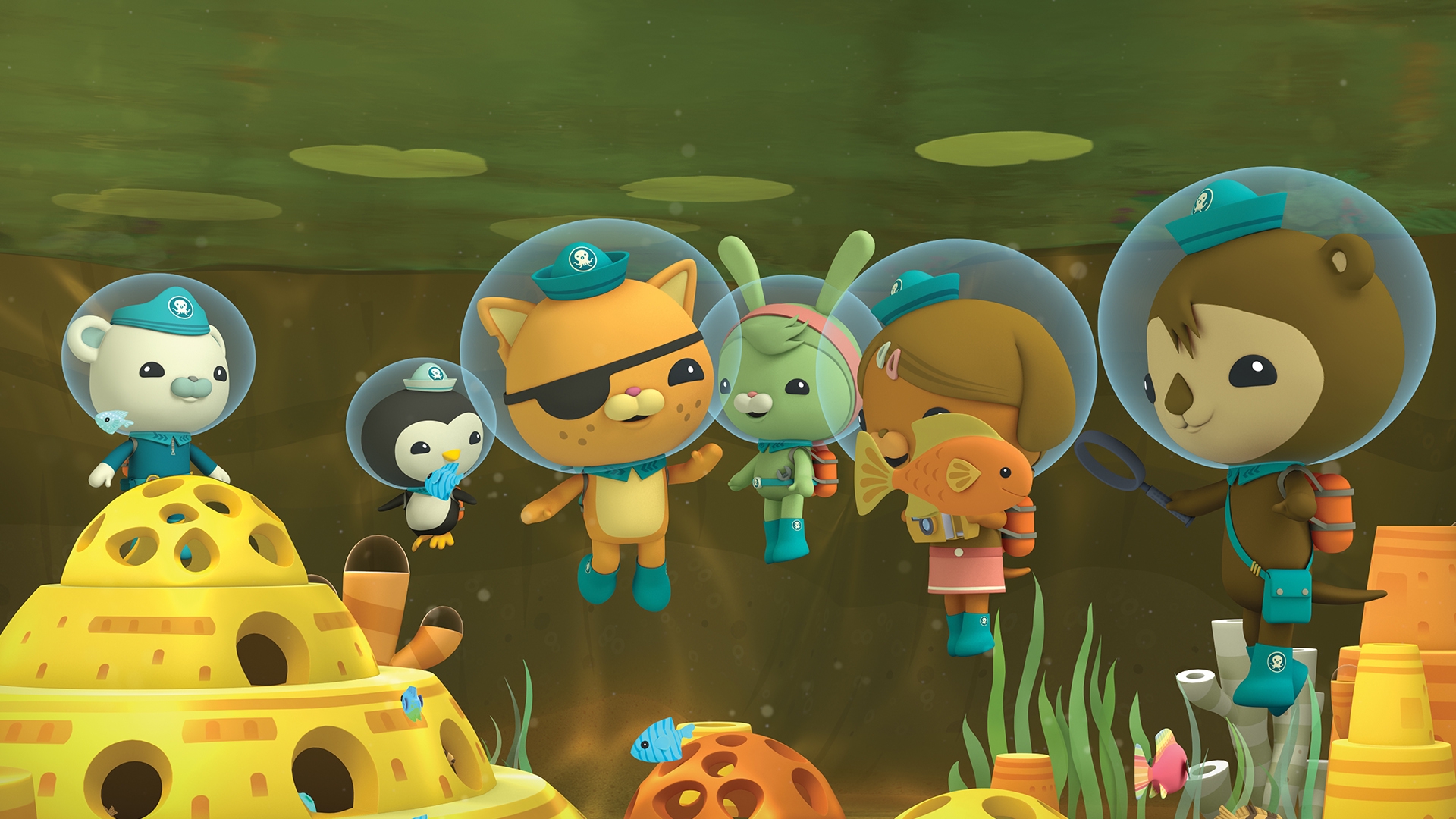 Stream Octonauts: The Amazon Adventure Online | Download and Watch HD ...