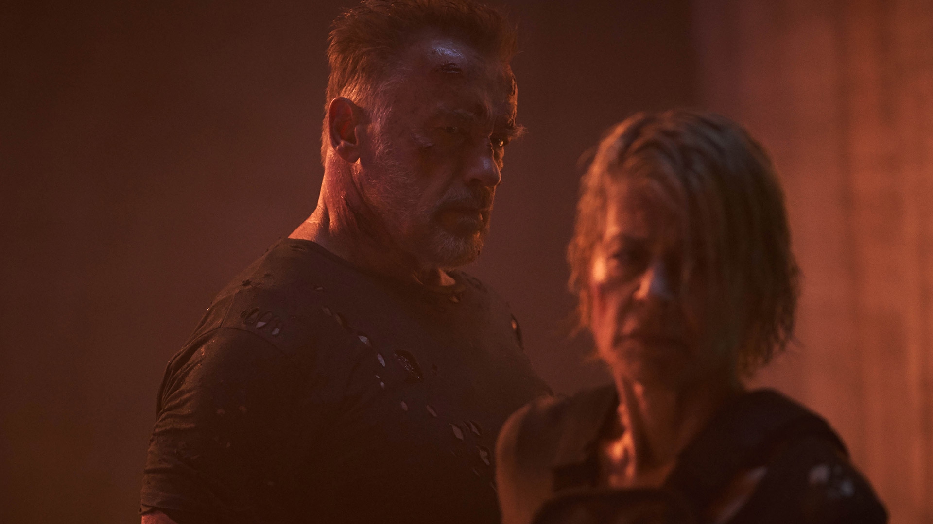 Stream Terminator: Dark Fate Online | Download and Watch HD Movies | Stan