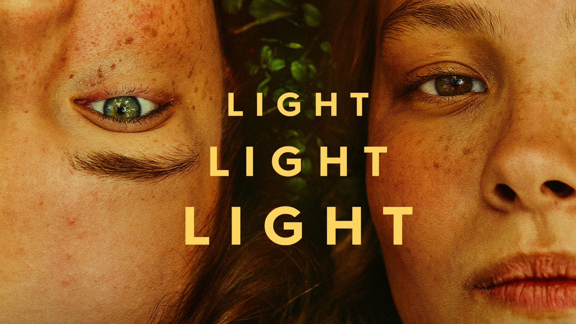 Stream Light Light Light Online | Download and Watch HD Movies | Stan