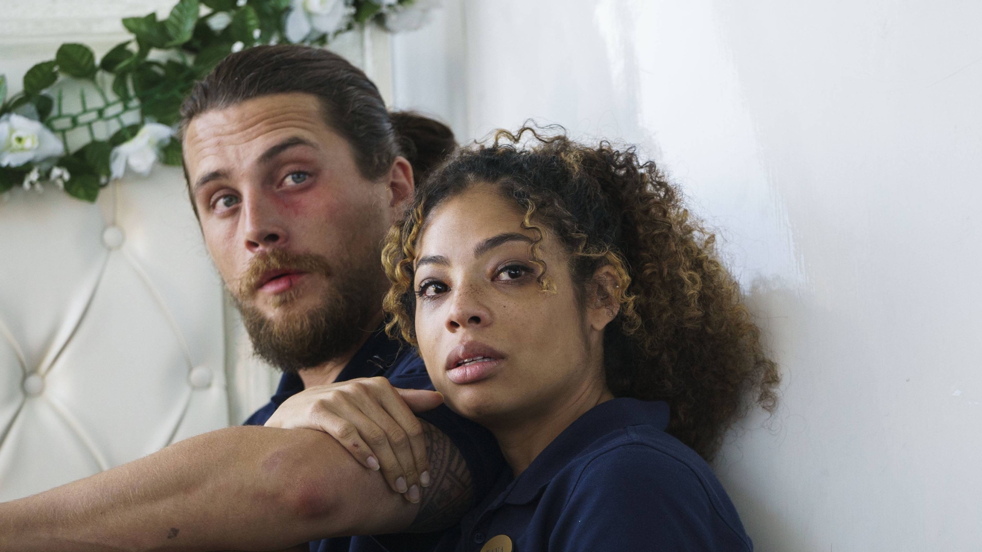 Watch Animal Kingdom Season 2 Online | Stream TV Shows | Stan
