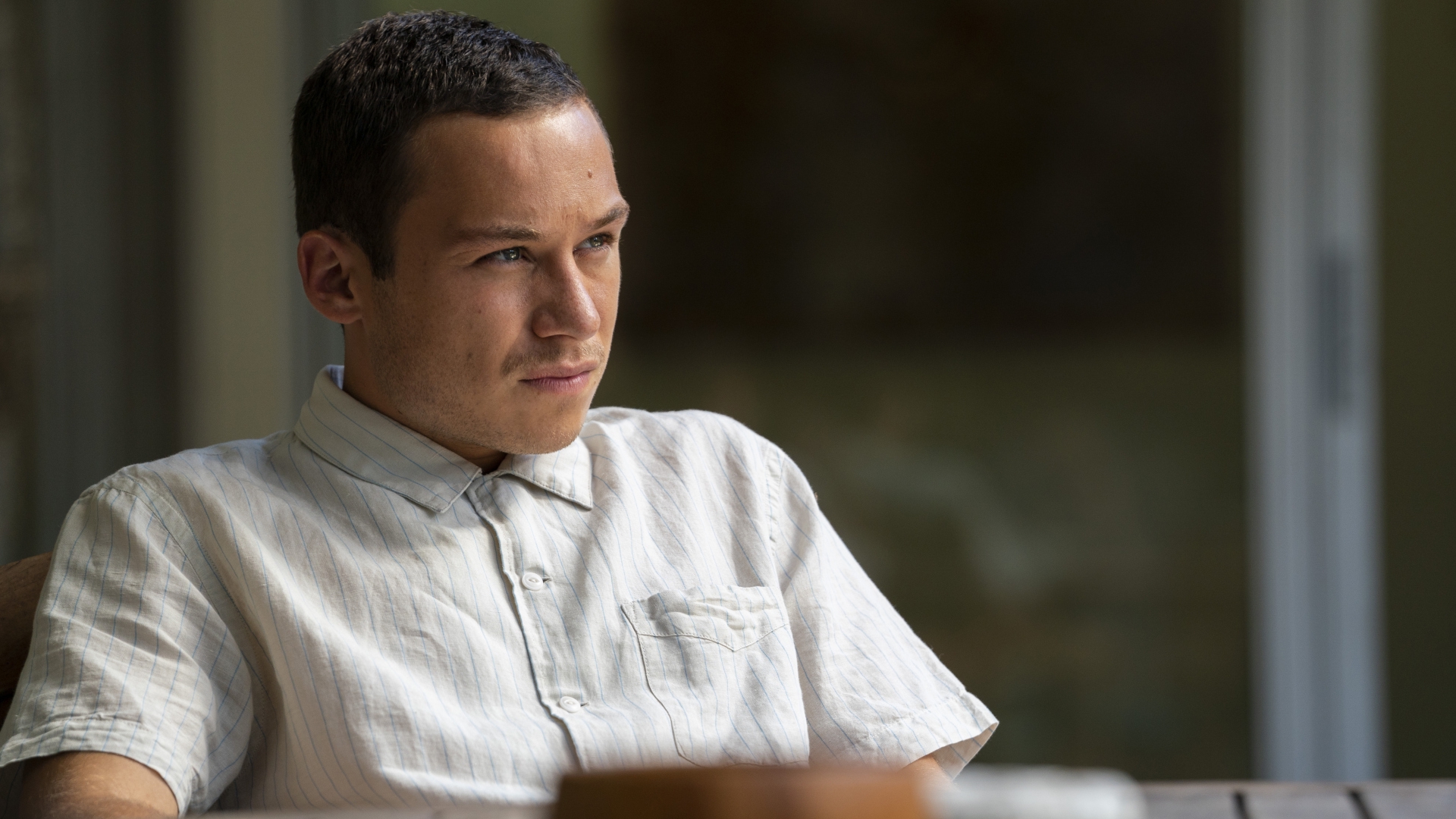 Watch Animal Kingdom Season 6 Online | Stream TV Shows | Stan
