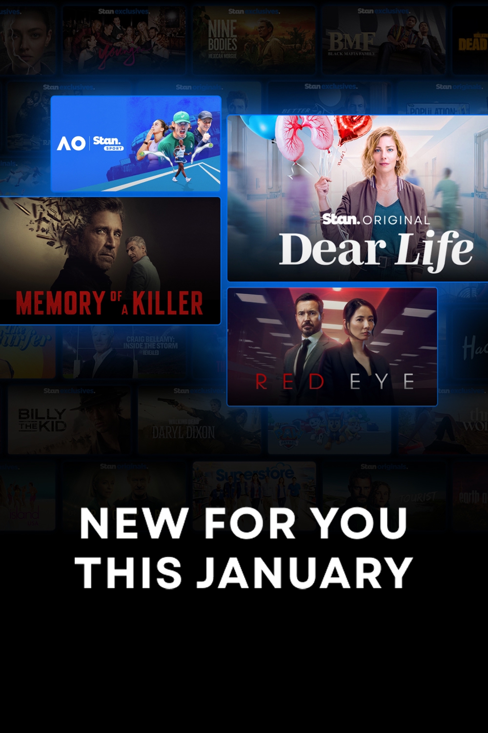 The Hack | TV Show - Stream Now | Only on Stan.