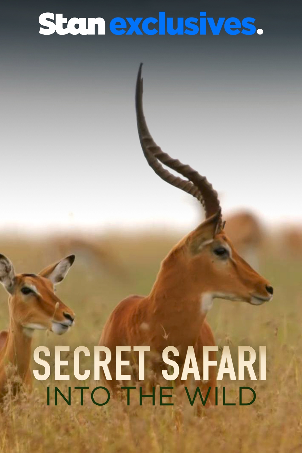 Watch Nature TV Shows Online | Stan