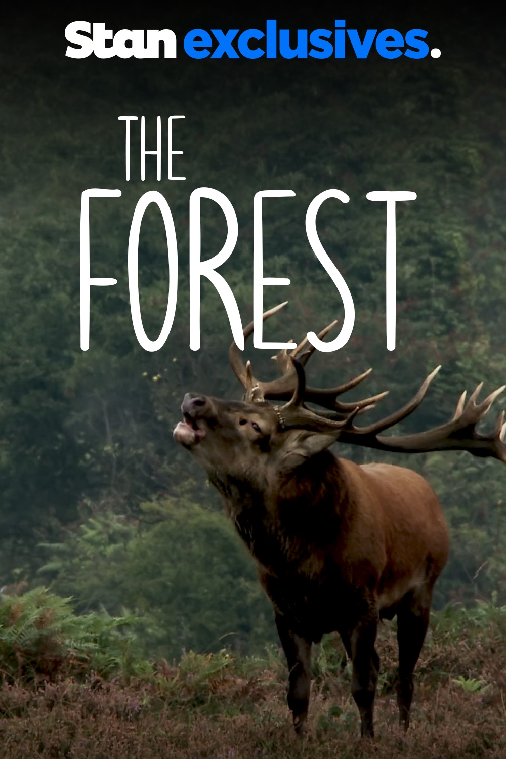 Watch Nature TV Shows Online | Stan