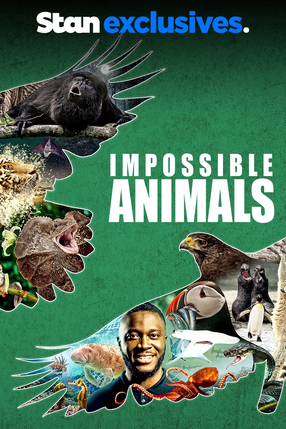 Watch Documentary TV Shows Online | Stan