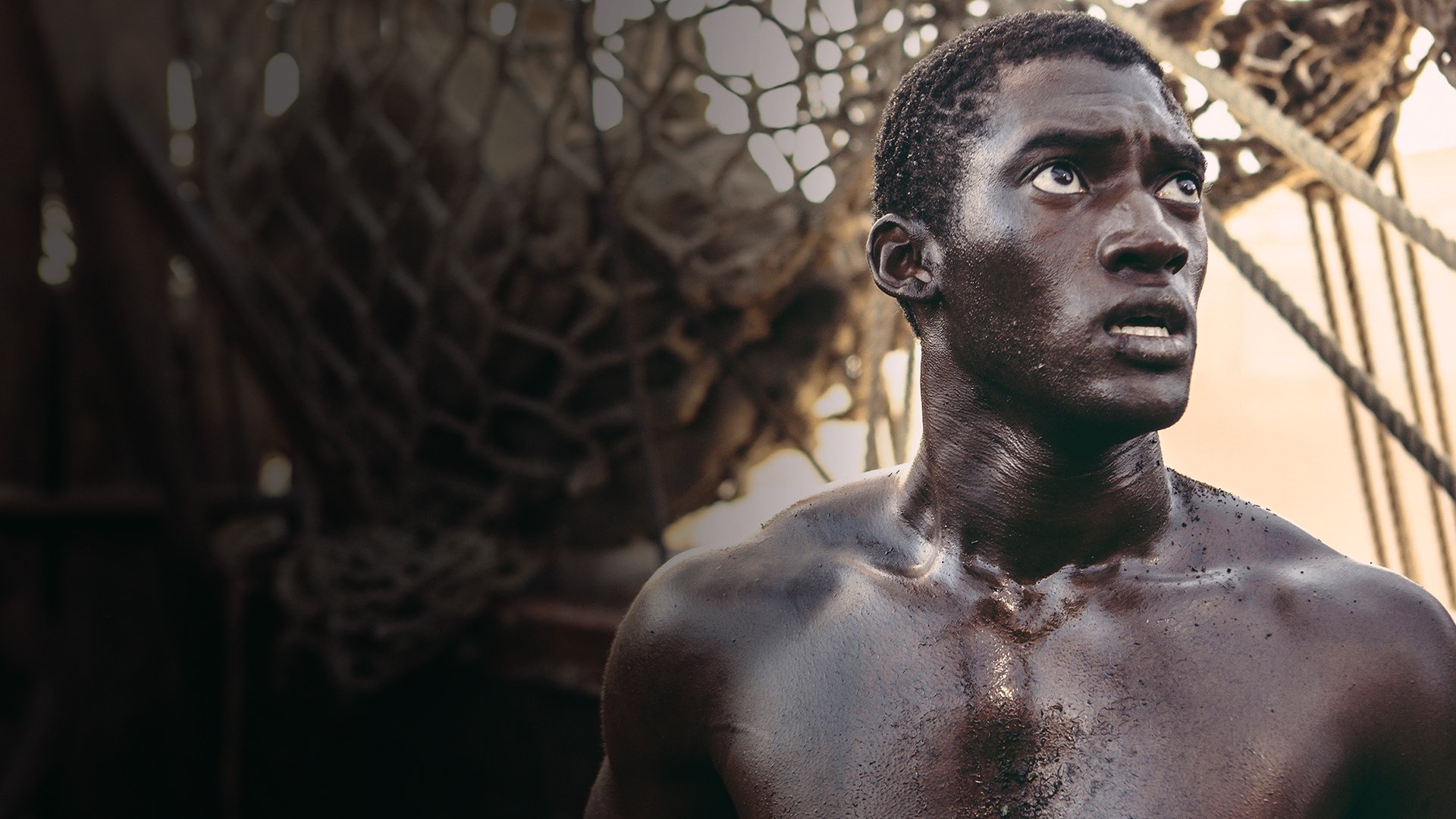 Watch Roots (2016) Online | Stream Season 1 Now | Stan