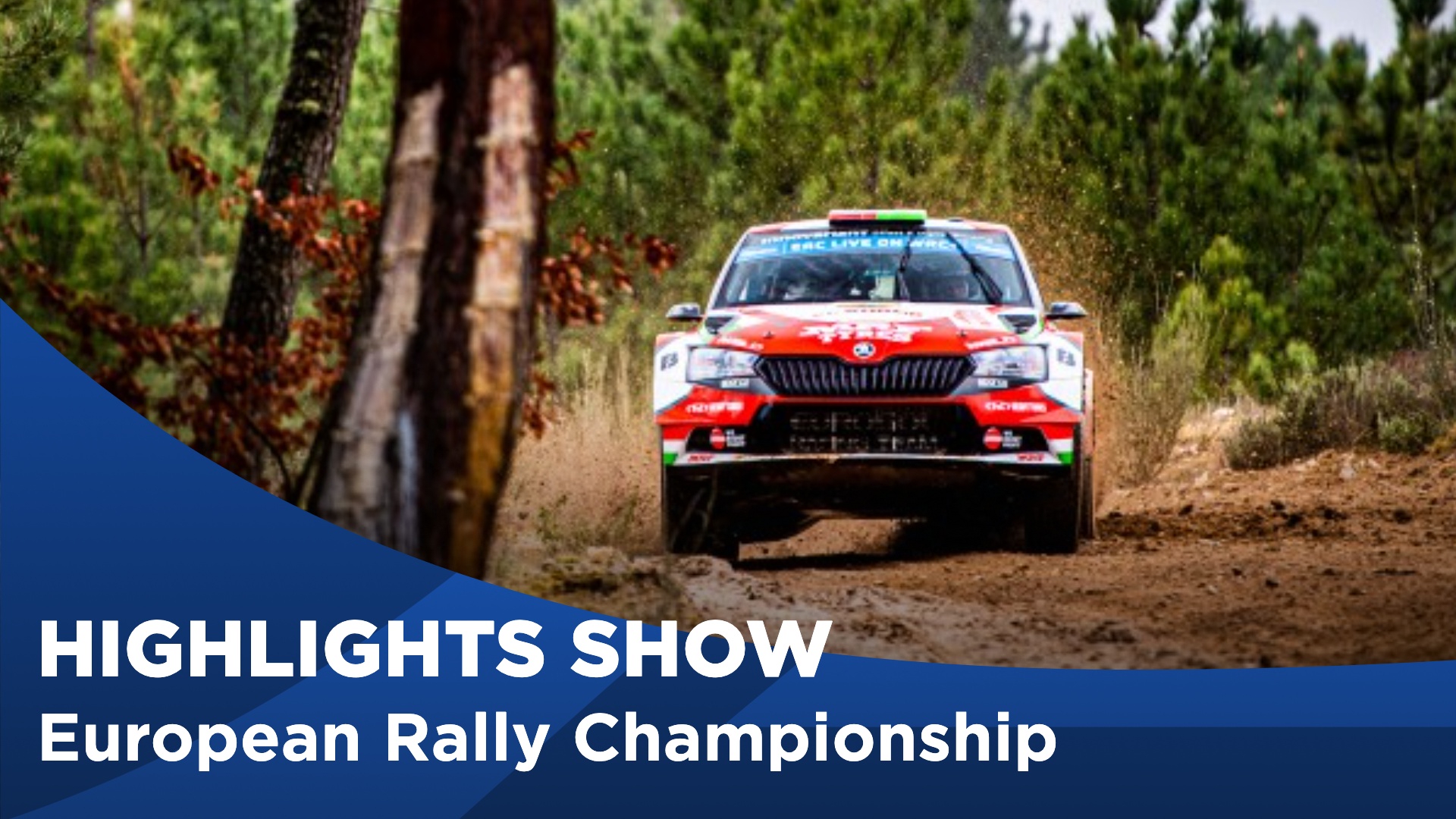 Watch WRC | World Rally Live Streaming | Stan Sport