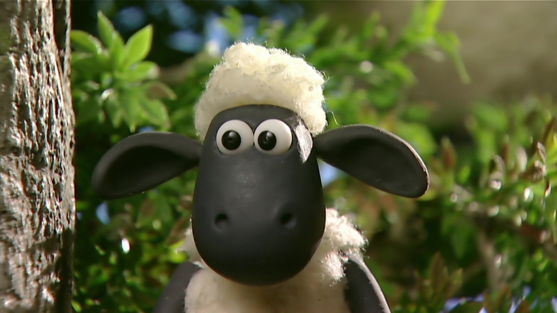 Watch Shaun the Sheep Online | Stream Seasons 1-5 Now | Stan