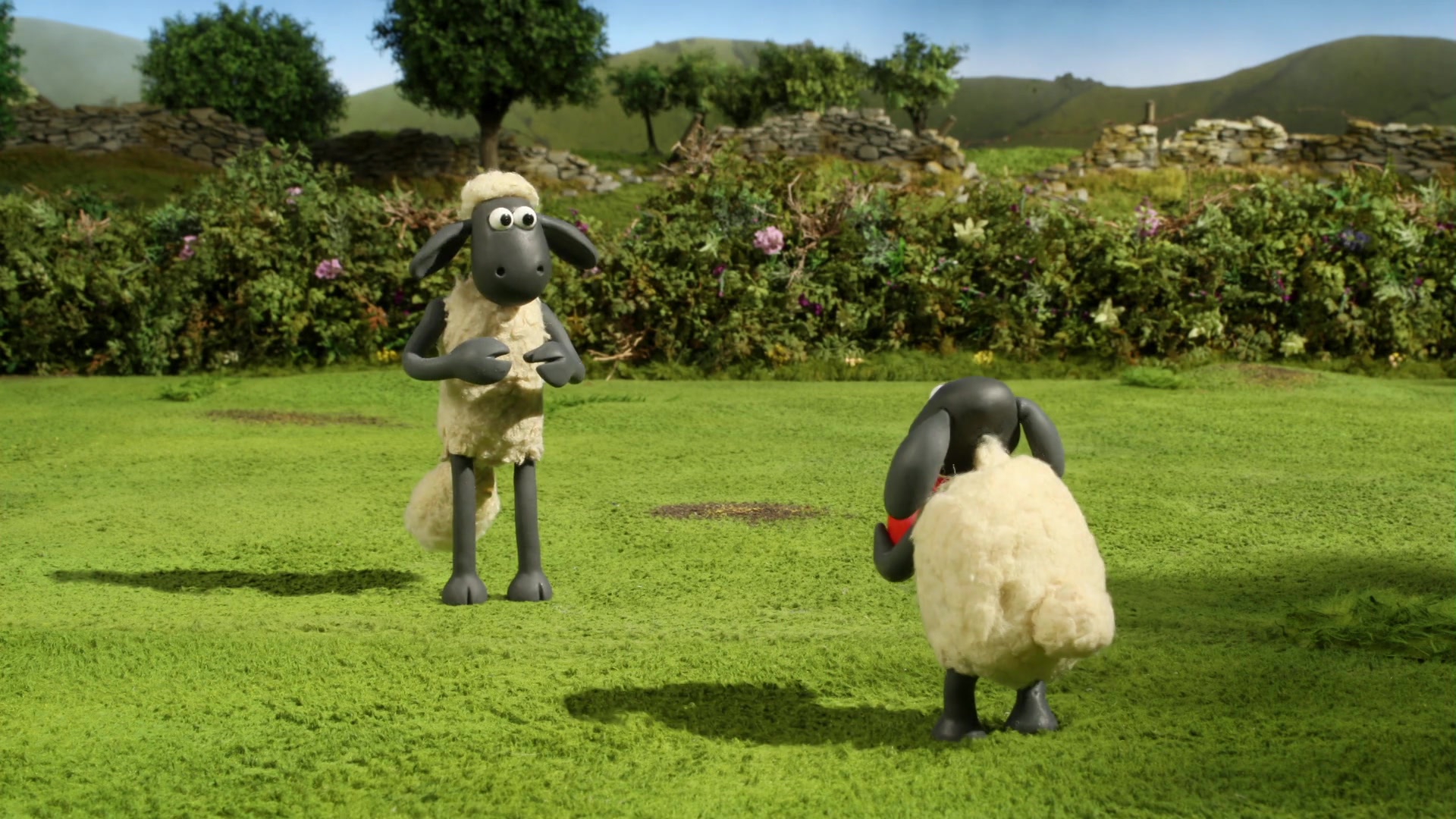 Watch Shaun the Sheep Season 2 Online | Stream TV Shows | Stan