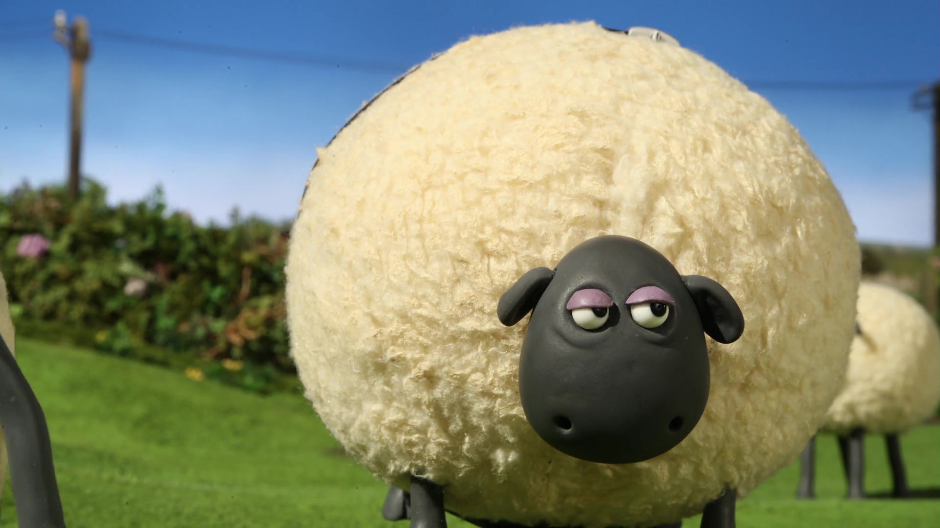 Watch Shaun the Sheep Season 2 Online | Stream TV Shows | Stan
